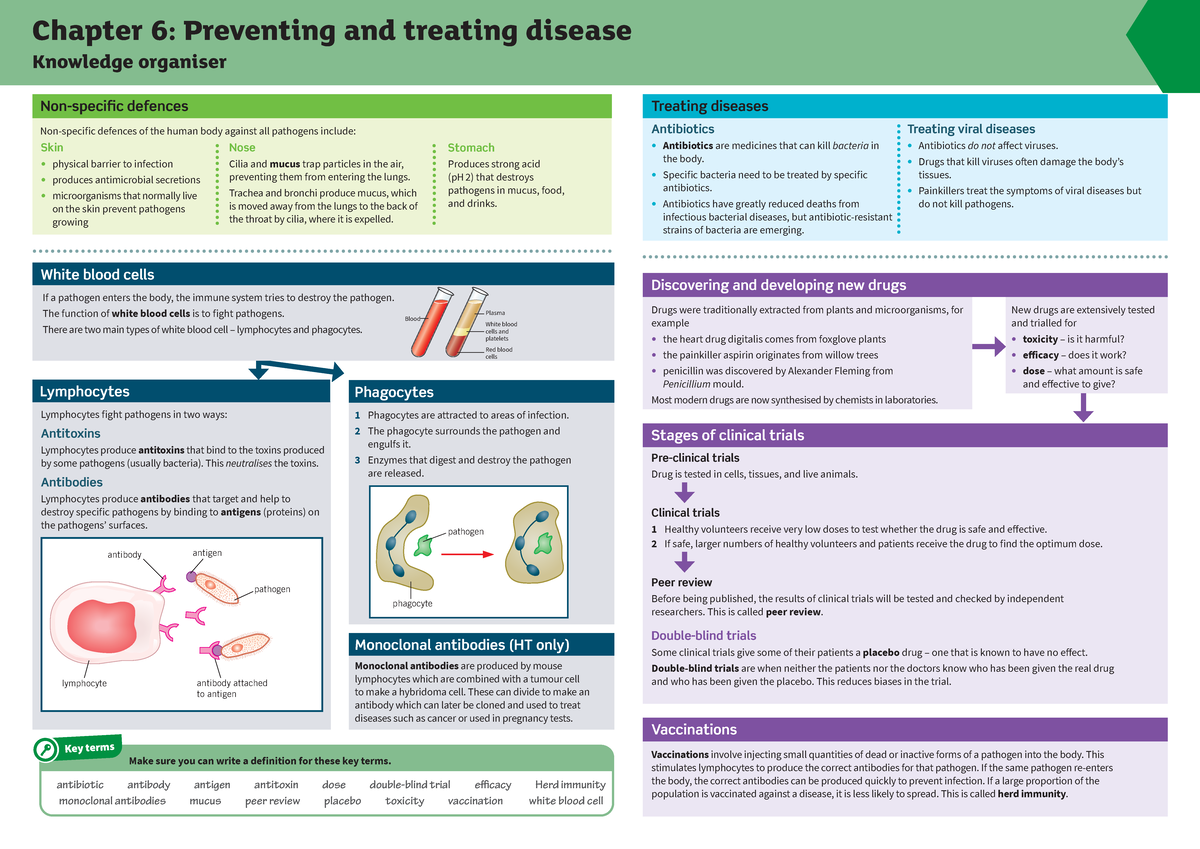 B6 Chapter 6: Preventing & Treating Disease Knowledge Organiser - Studocu