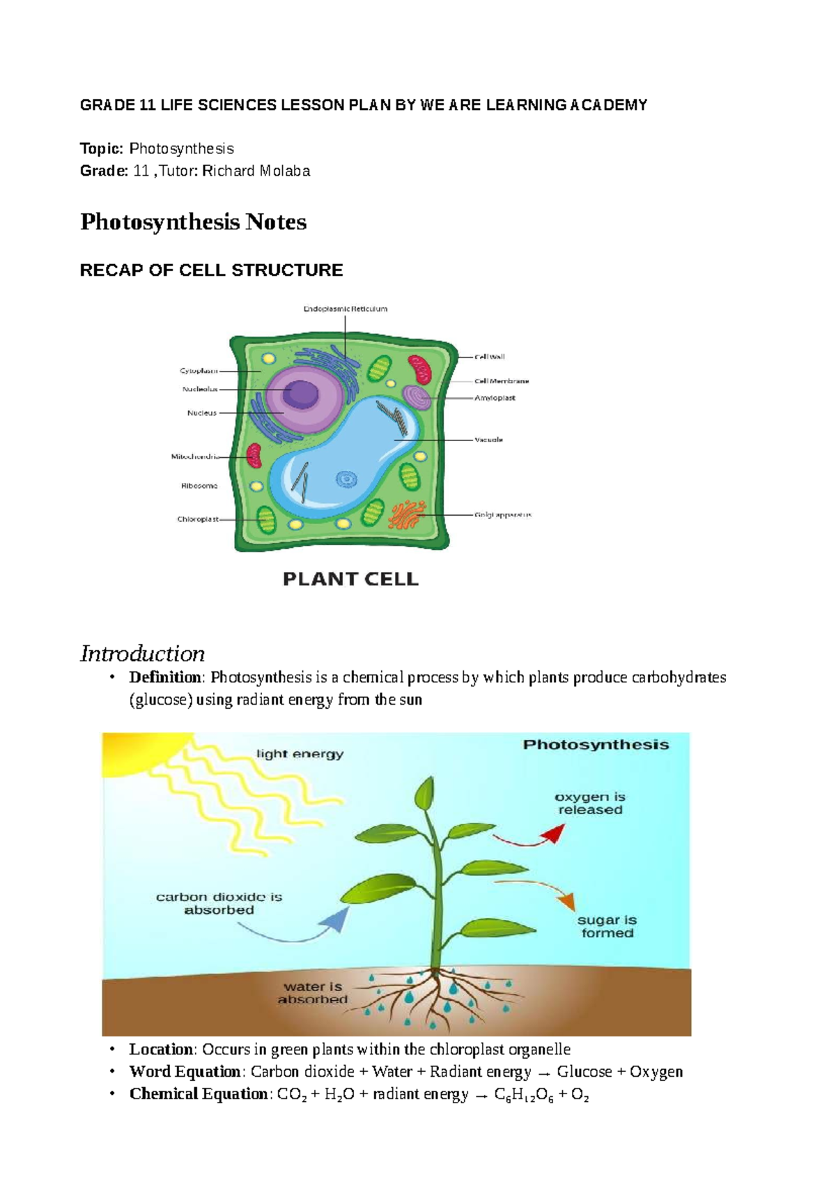 GRADE 11 LIFE SCIENCES LESSON PLAN: PHOTOSYNTHESIS OVERVIEW - Studocu