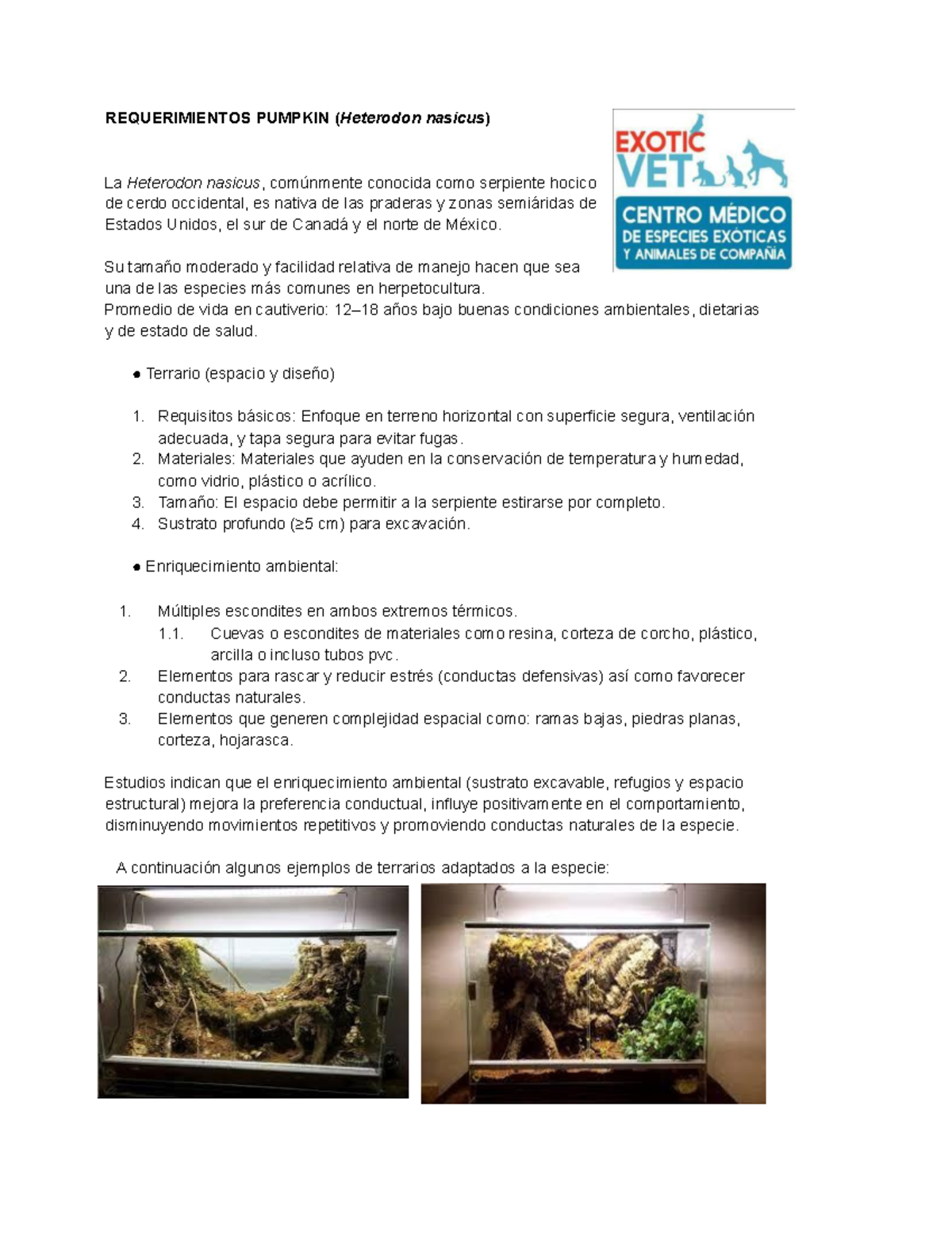 Cuidados Básicos para Heterodon nasicus (DOC-20260308-WA0013) - Studocu