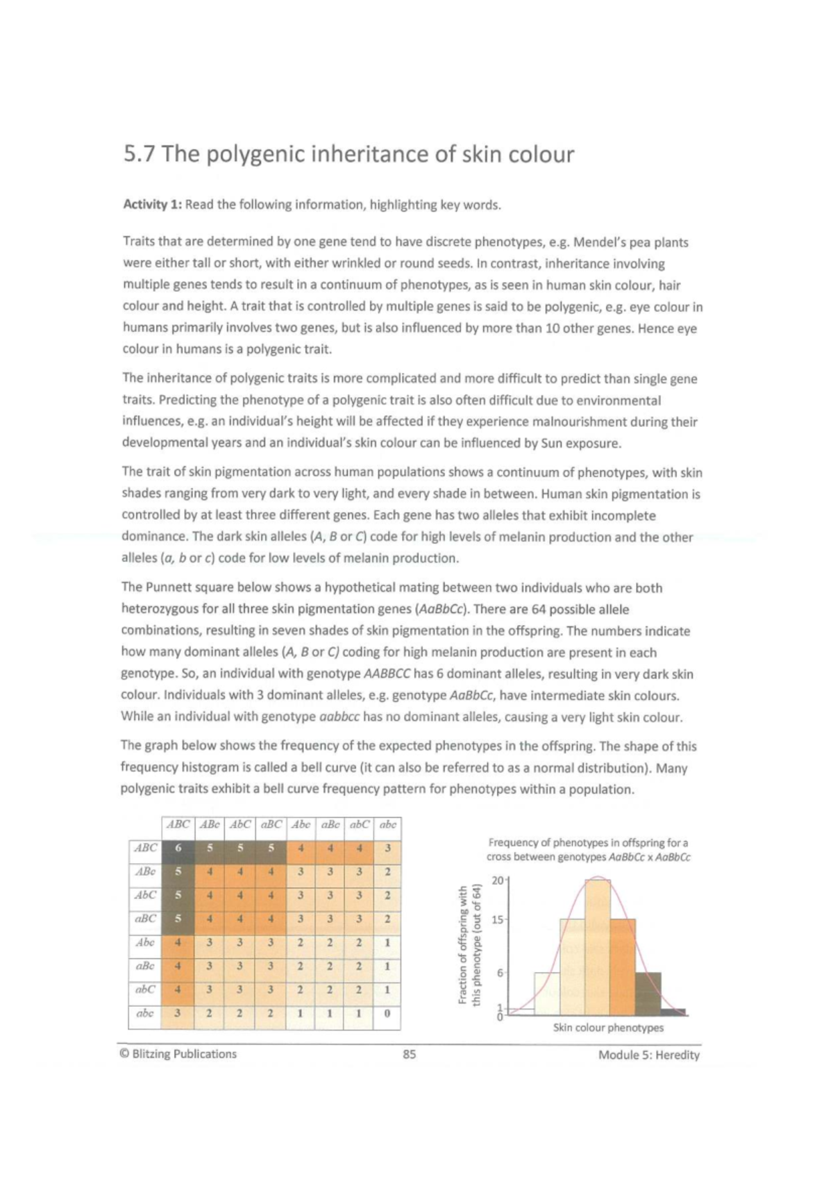 5.7 The polygenic inheritance of skin colour - Traits that are ...