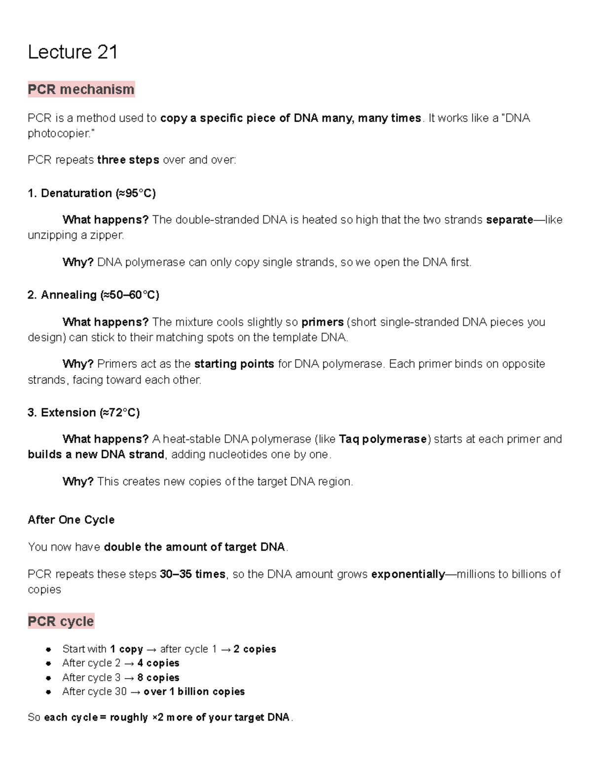 BIO Lecture Notes 16-21: PCR Mechanism and DNA Replication - Studocu