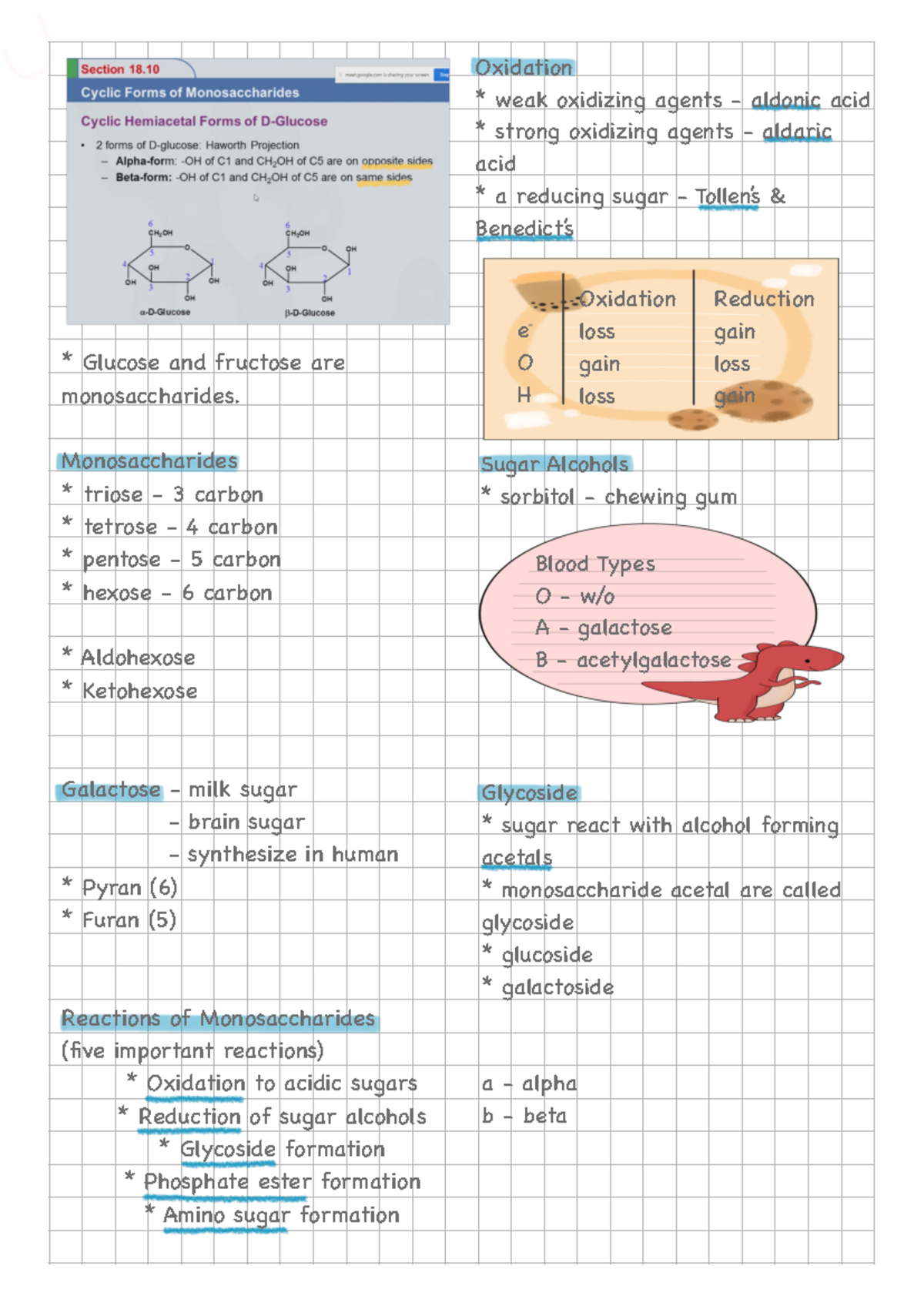 Biochem - long lecture notes - * Glucose and fructose are ...