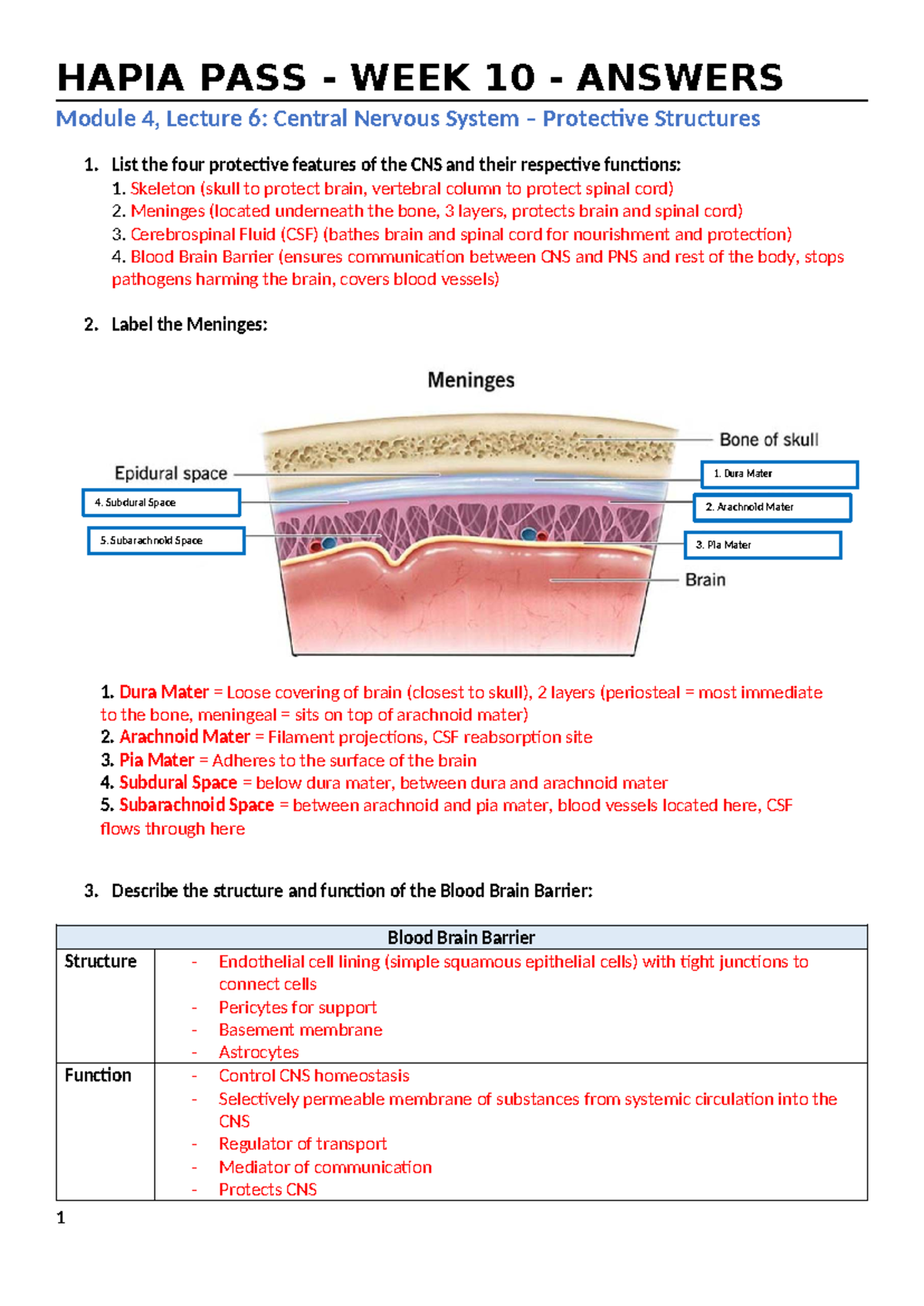 HAPIA Module 4: Week 10 PASS Worksheet Answers on CNS & PNS - Studocu