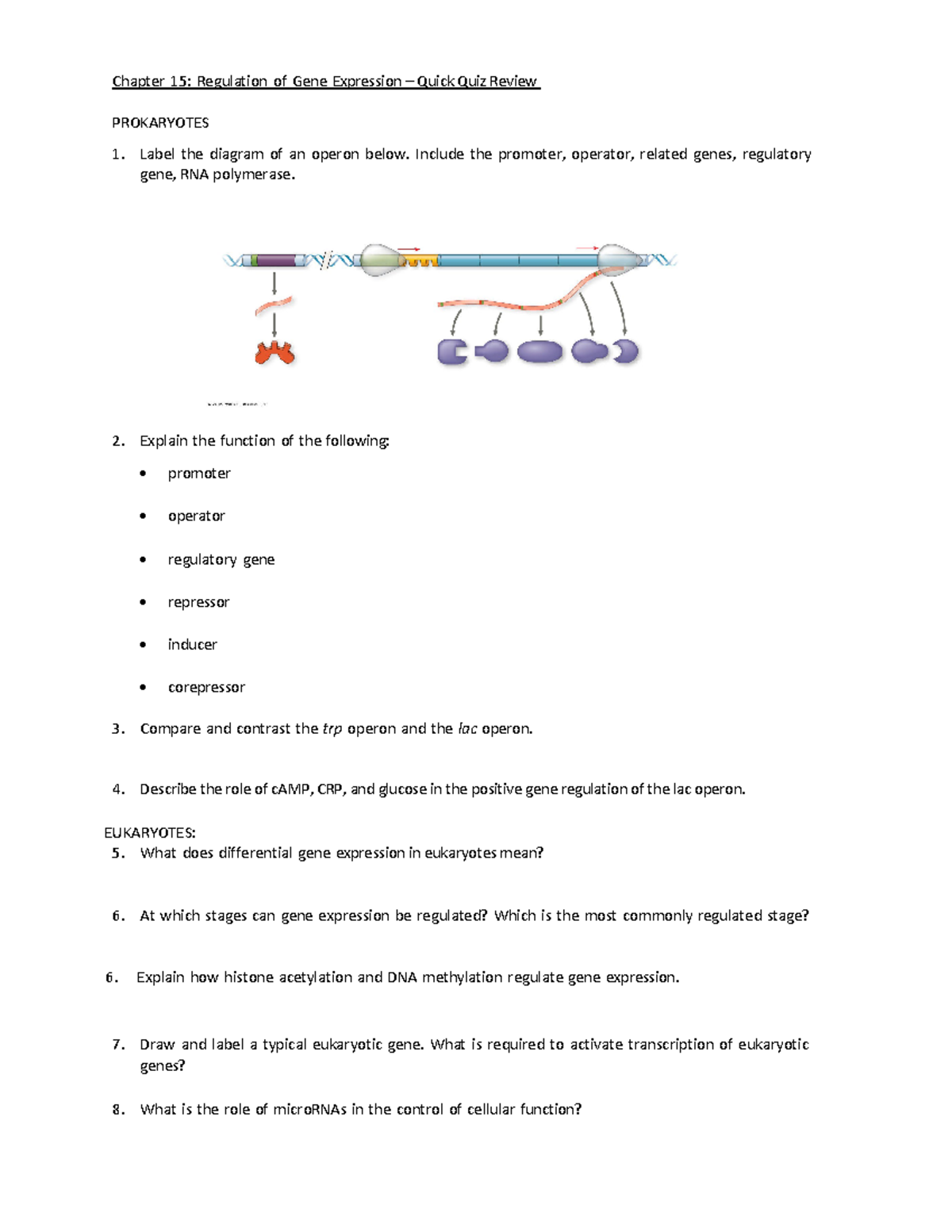 Ch15 Quiz Review: Gene Expression Regulation Study Guide - Studocu