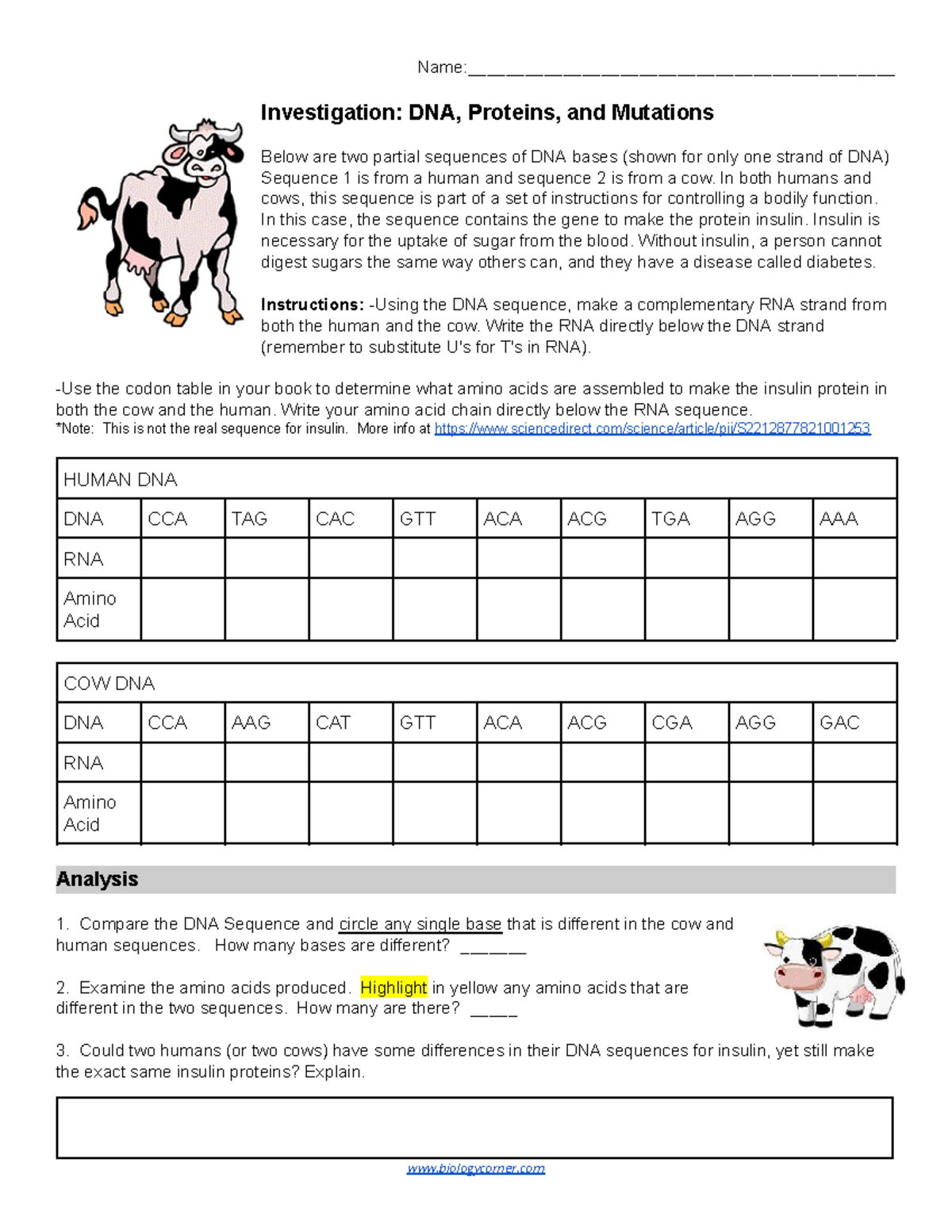 Investigation: DNA, Proteins, and Mutations (2A) Analysis - Studocu