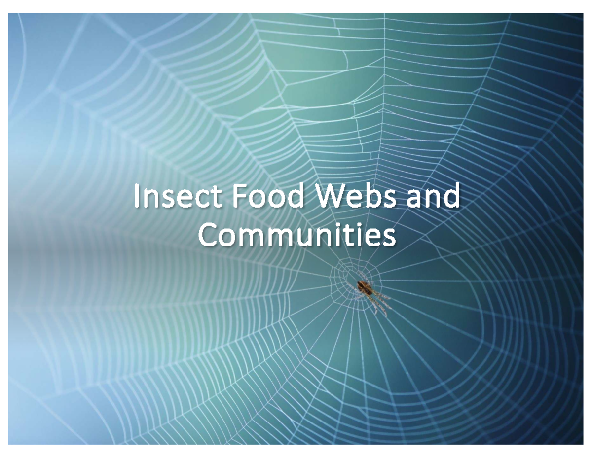 IEE Food Webs 2025 - IEE fod web lecture - Insect Food Webs and ...