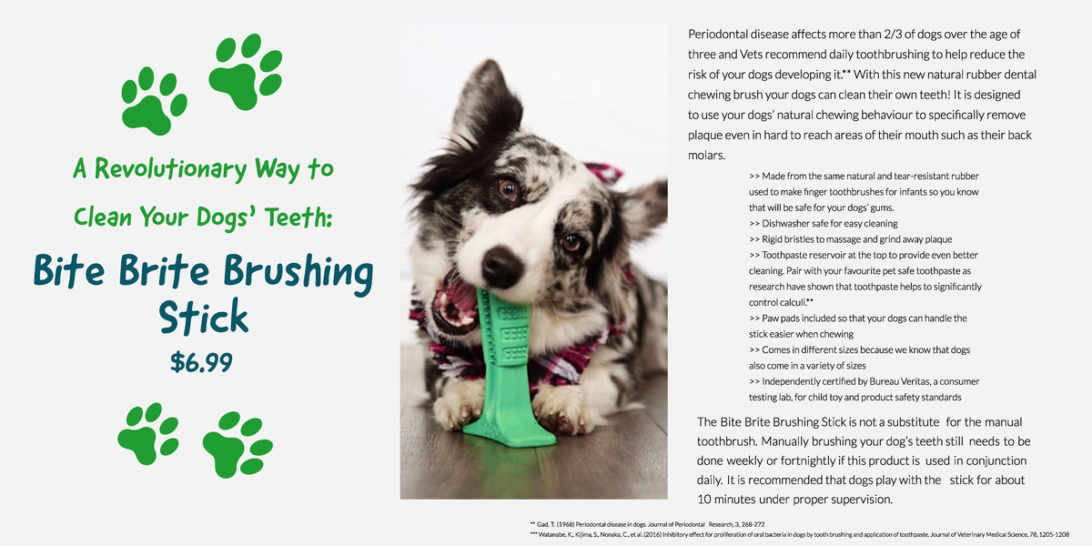 Bite Brite Brushing Stick Flyer Final - ANSC20005 - Studocu