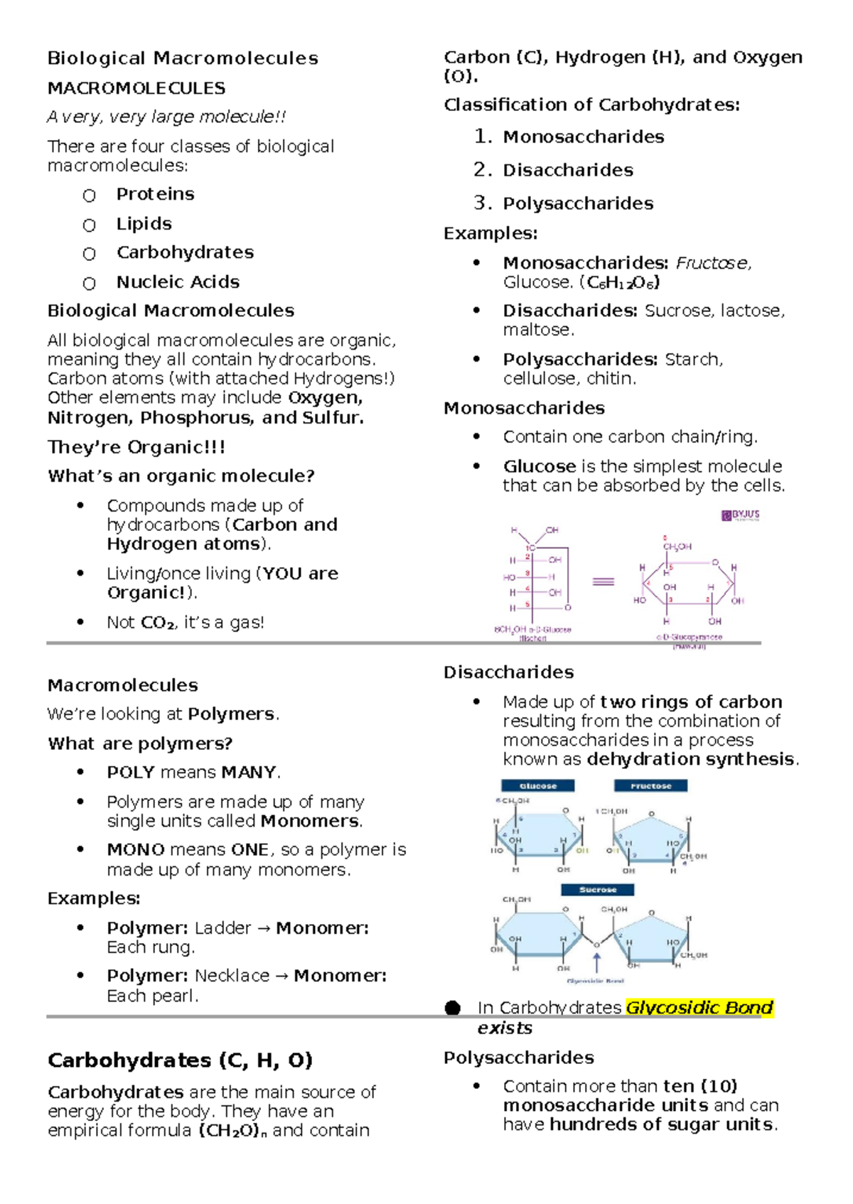 Biological Macromolecules Overview: Proteins, Lipids, Carbs, Nucleic ...