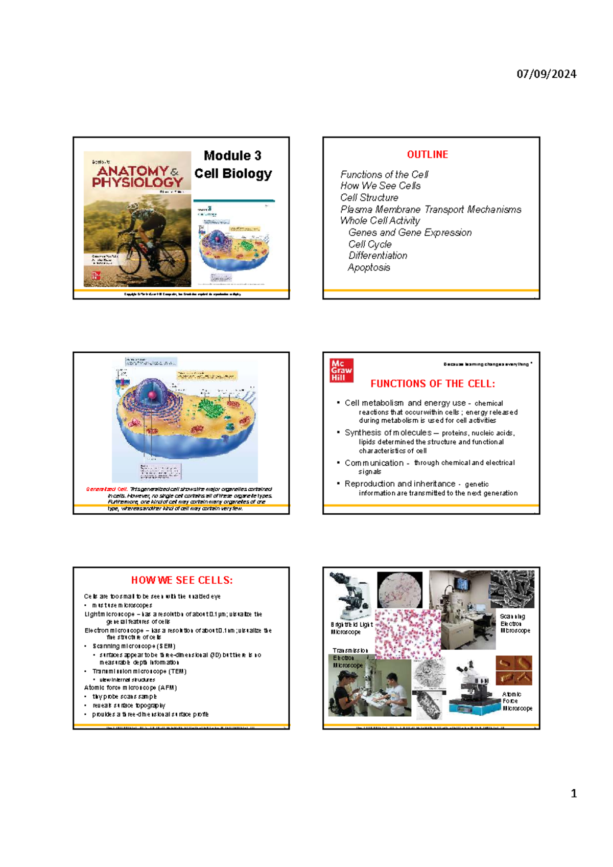 Cell Biology (BIO101) Module 3 Outline: Structure, Functions ...