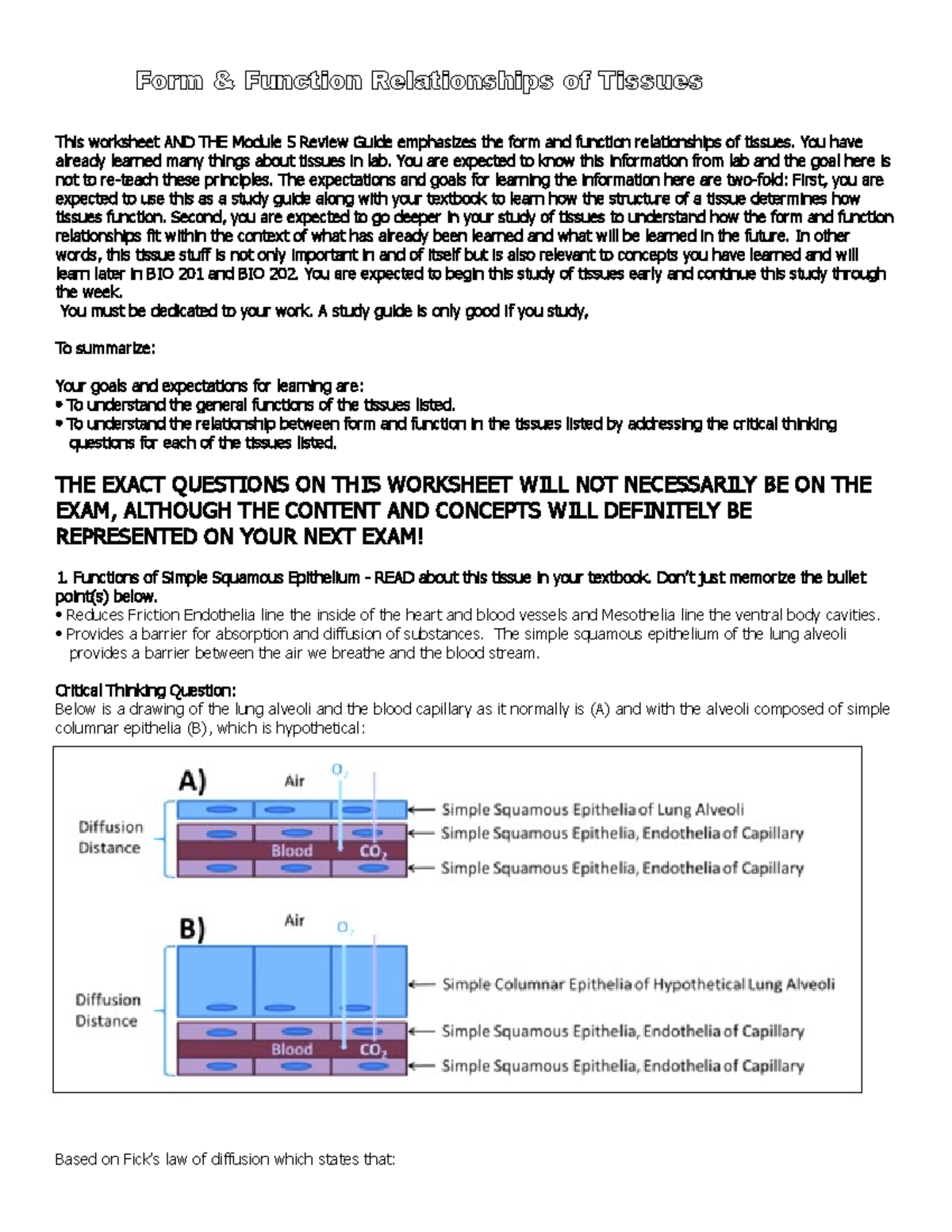 Tissue Functions Worksheet - This worksheet AND THE Module 5 Review ...