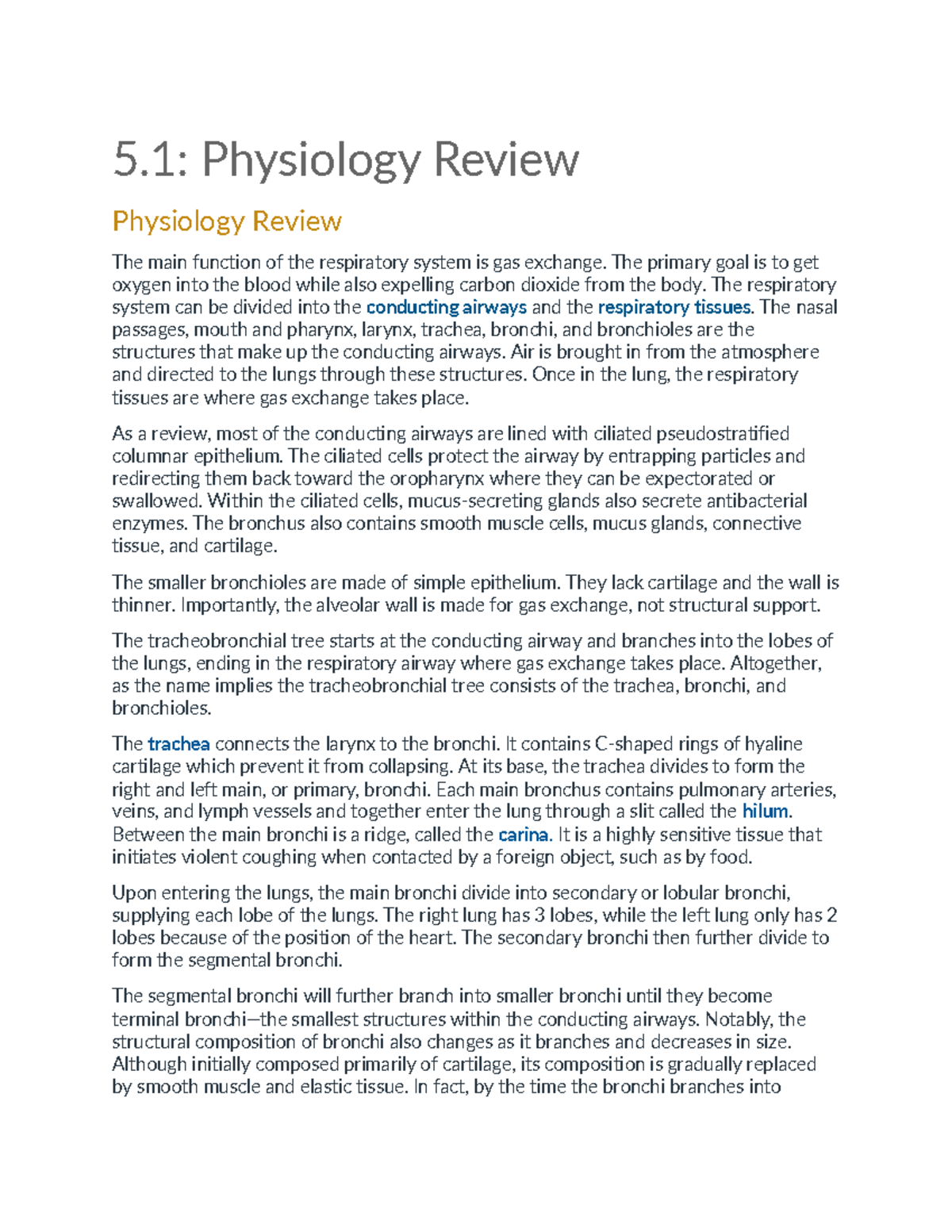 Exam 5 Study Guide: Physiology of the Respiratory System - Studocu