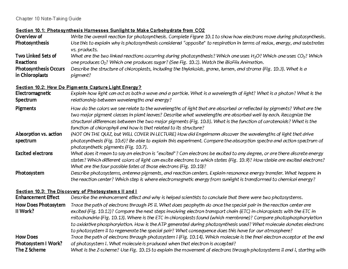 Chapter 10 Photosynthesis Note-Taking Guide (BIO 101) - Studocu