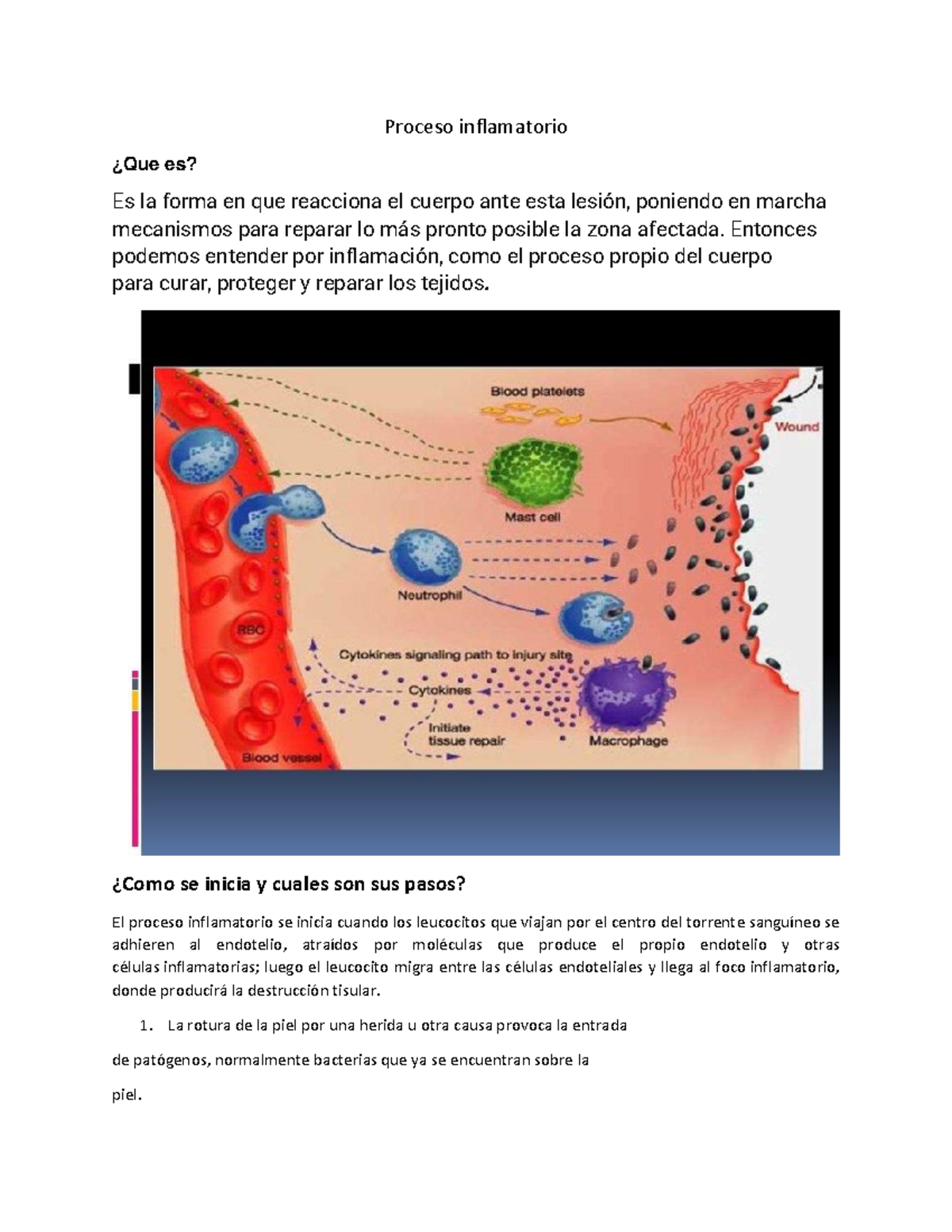 Proceso inflamatorio - Proceso inflamatorio ¿Que es? Es la forma en que ...