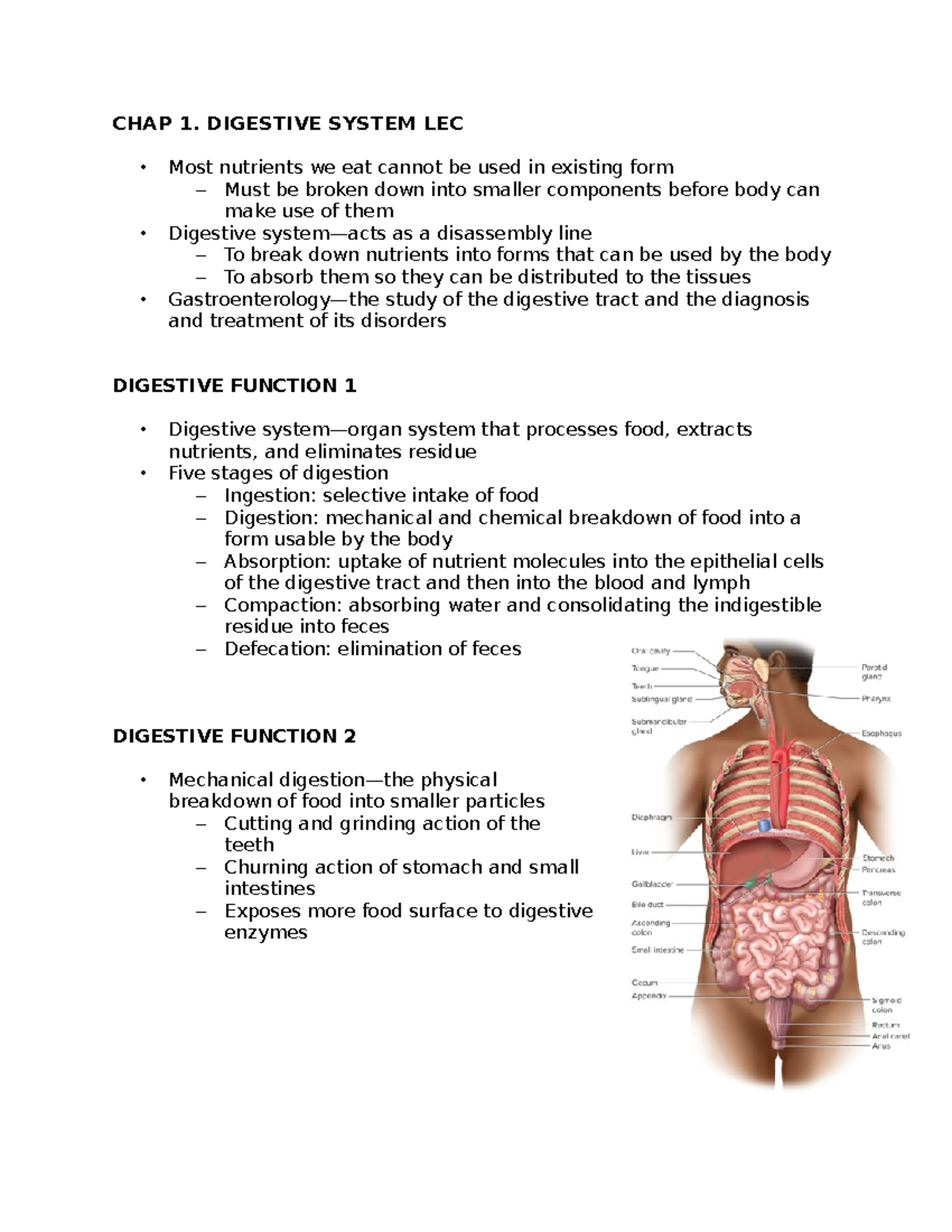 Digest.system LEC 1 - digestive system overview - CHAP 1. DIGESTIVE SYSTEM LEC Most nutrients we ...