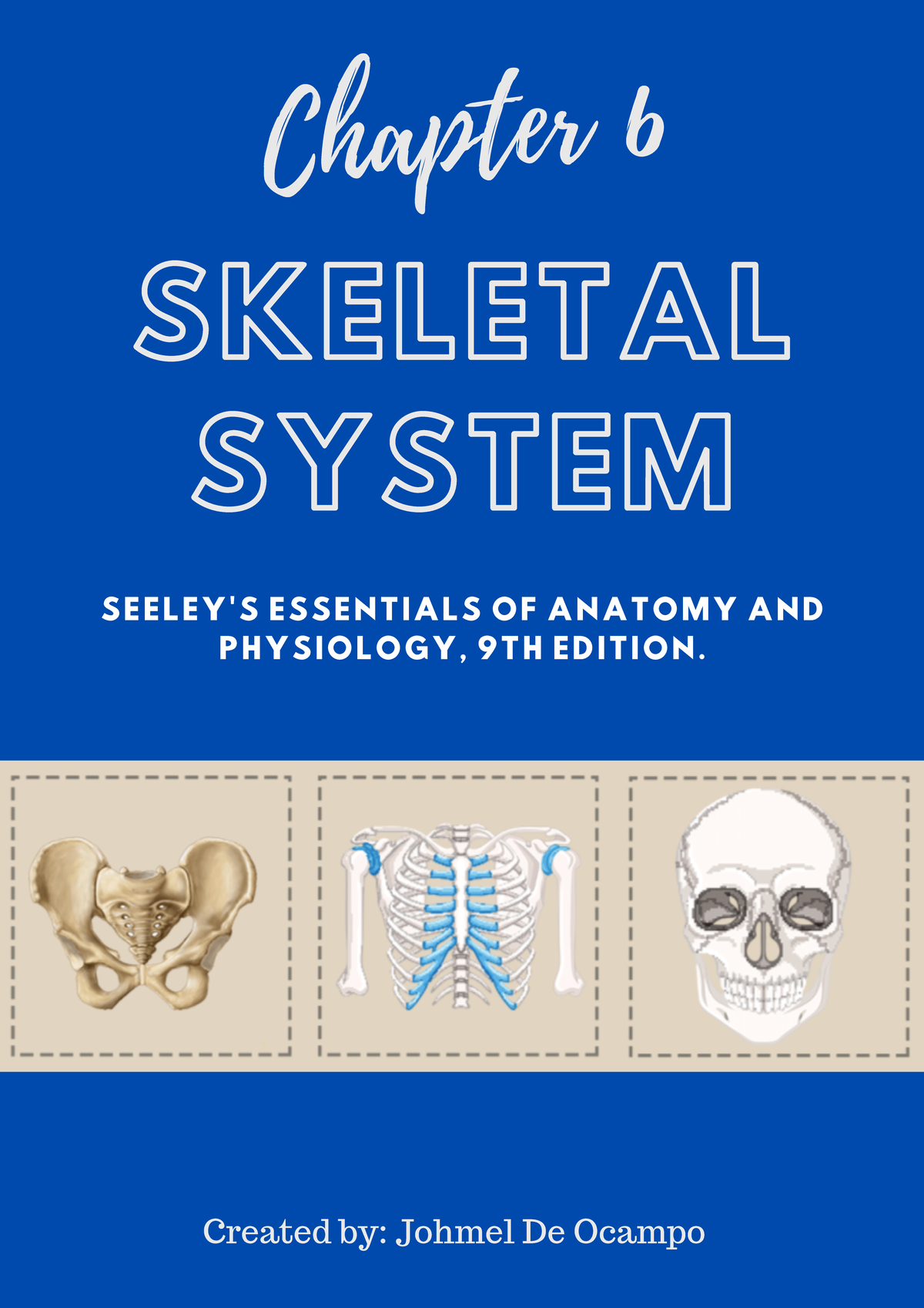 Anatomy & Physiology (Chapter 6: The Skeletal System Overview) - Studocu