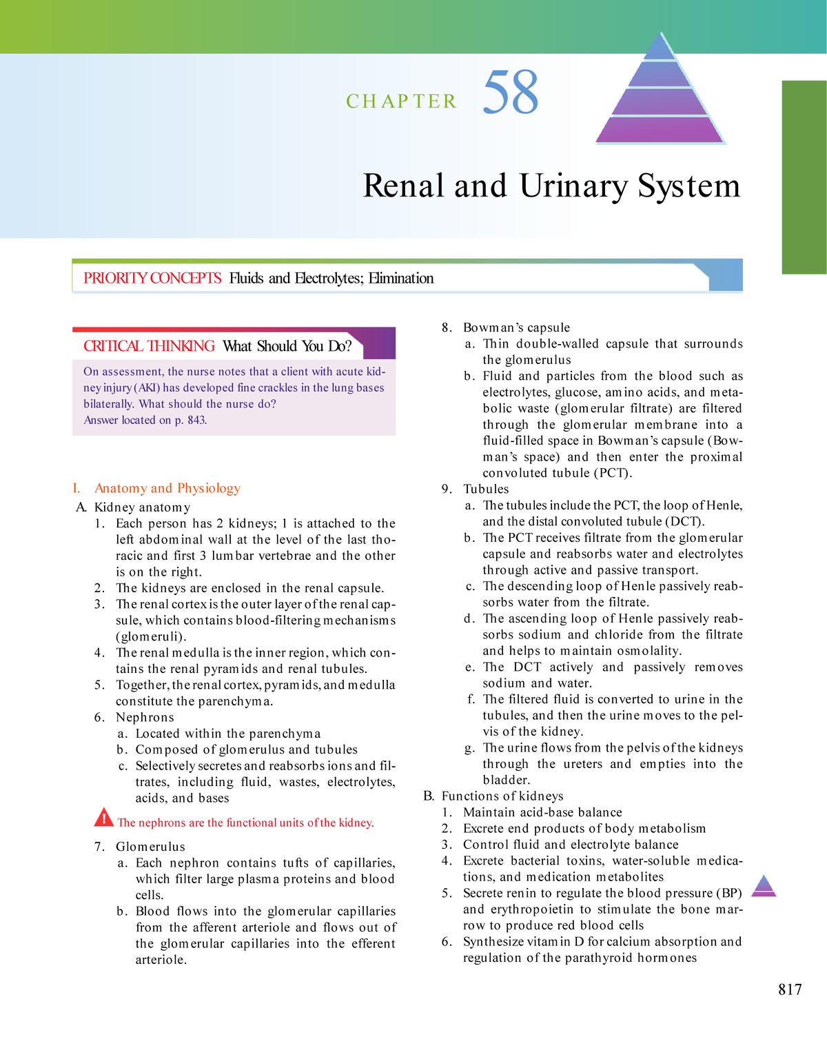 NCM 118 - Midterm Review: Renal and Urinary System Concepts - Studocu
