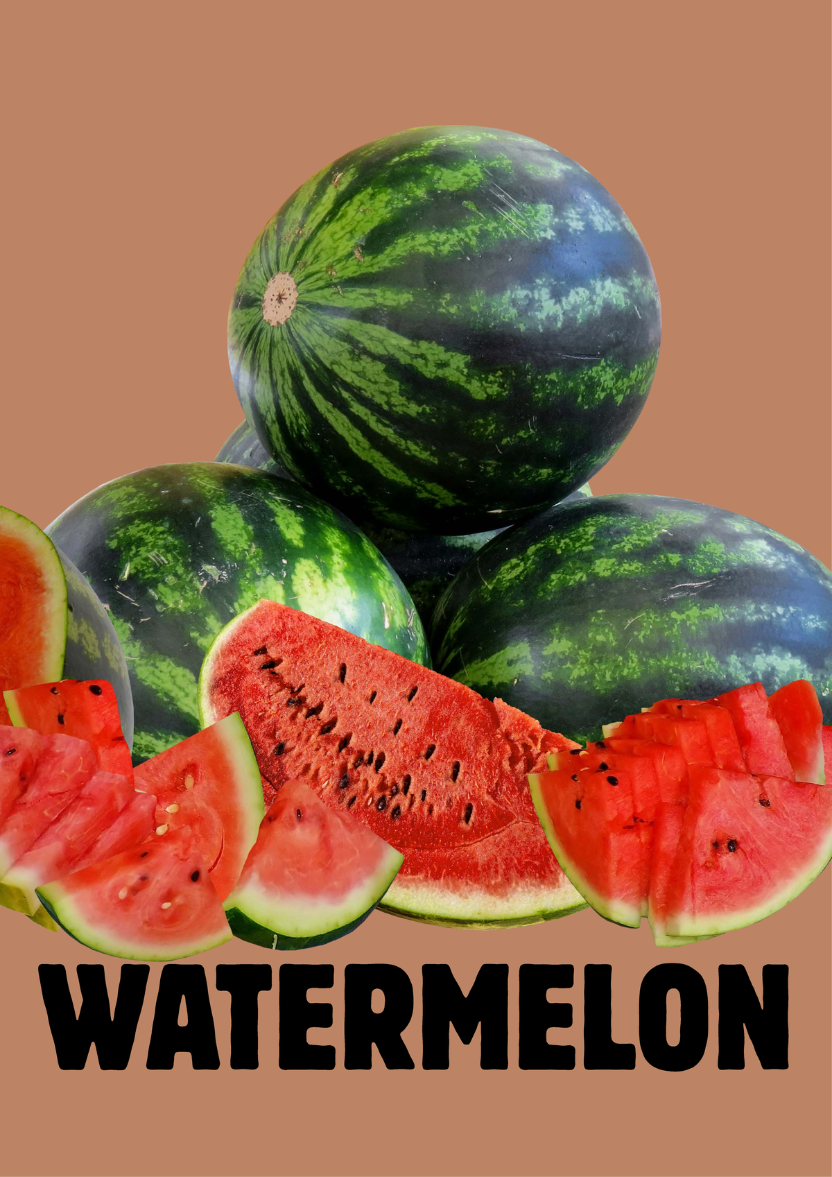Watermelon - ... - Political Science - Studocu