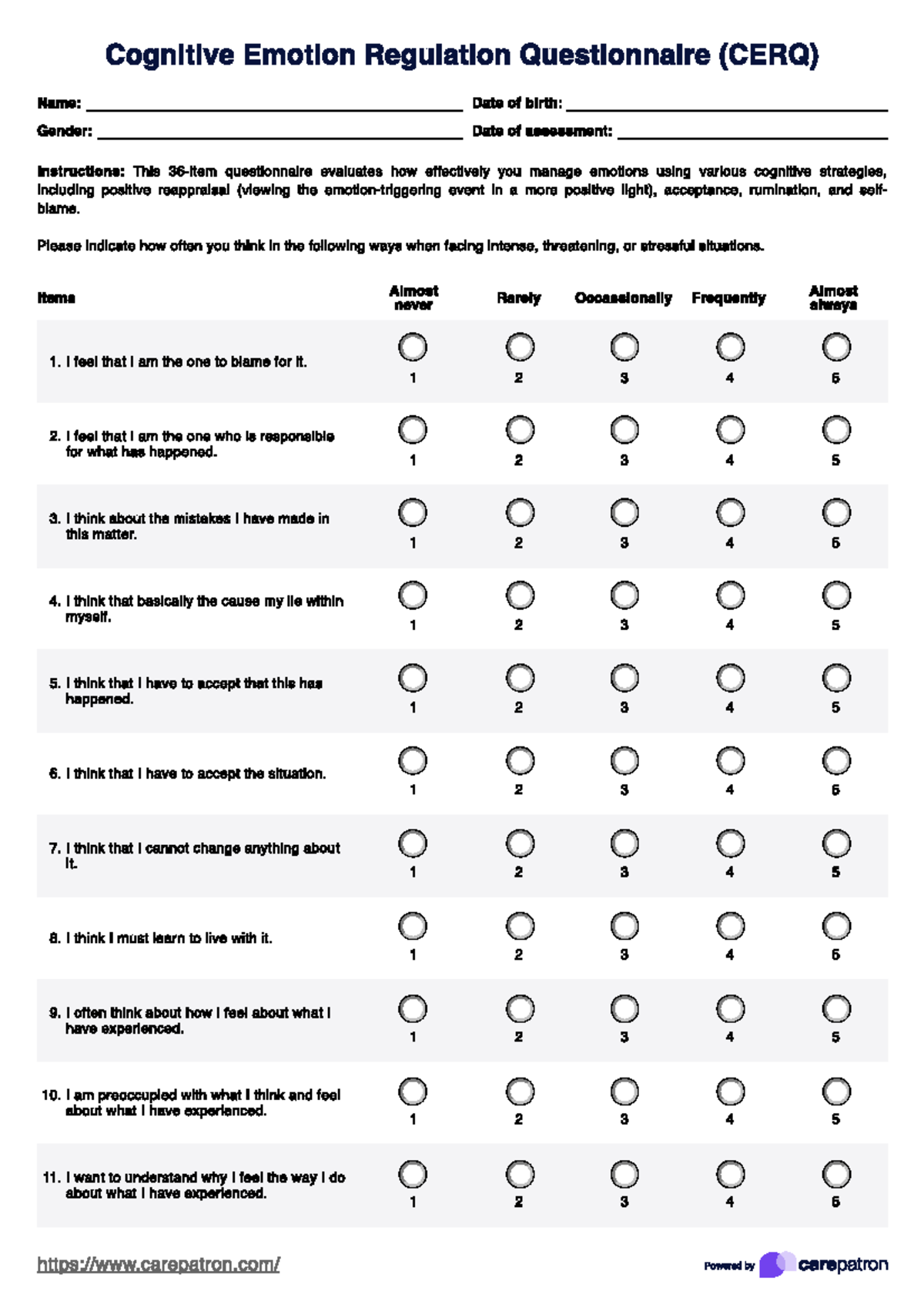 Cognitive Emotion Regulation Questionnaire (CERQ) Assessment Guide ...