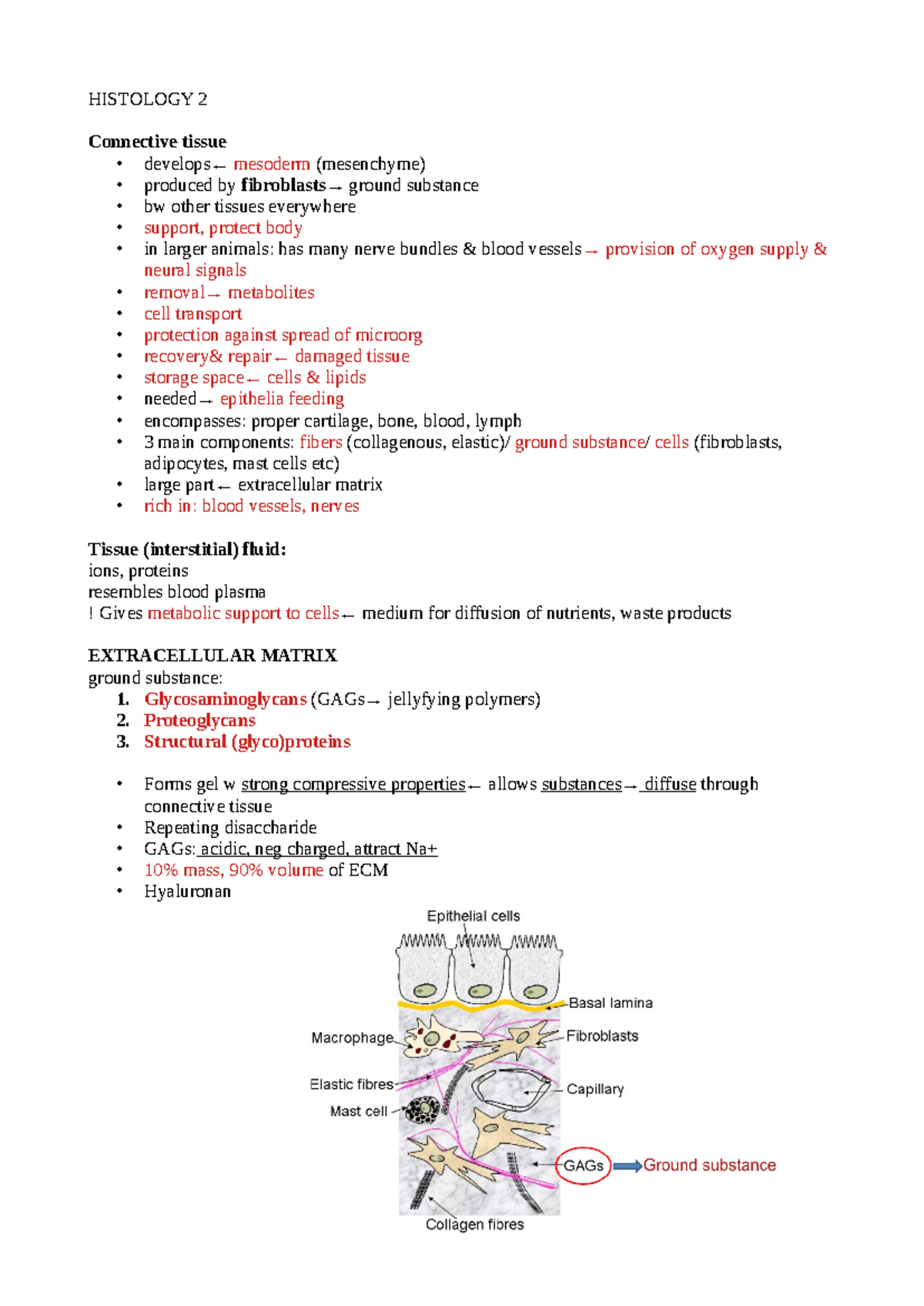 Histology 2: Connective Tissue Overview and Structural Components ...