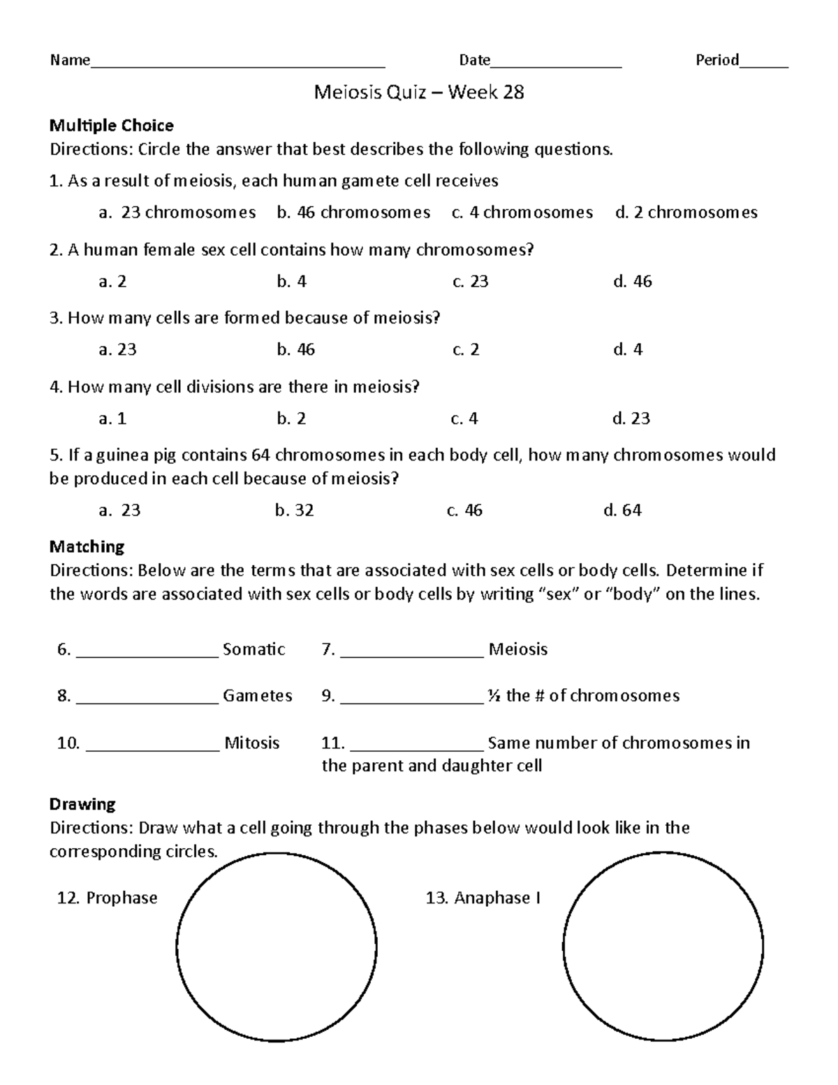 Meiosis Quiz - Name____________________________________ Date ...