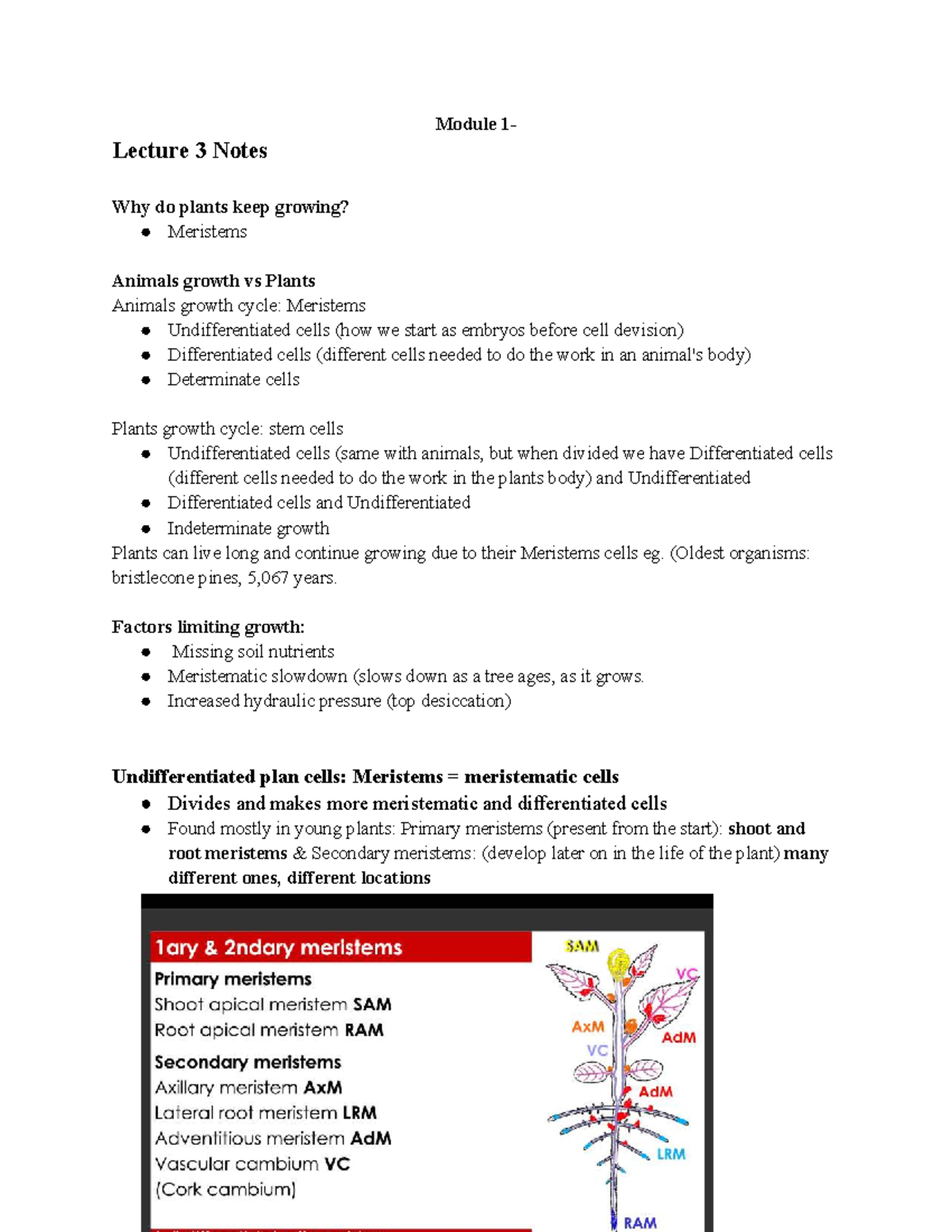 Lec 3 Notes: Understanding Plant Growth and Meristem Functions - Studocu