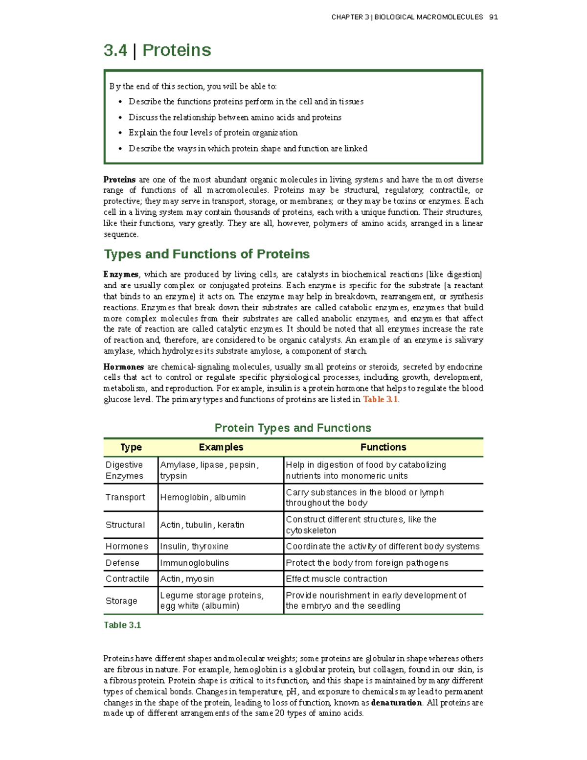 CHAPTER 3: BIOLOGICAL MACROMOLECULES - Proteins and Nucleic Acids - Studocu