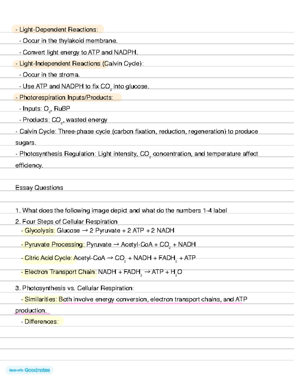Photosynthesis and Cellular Respiration (BIO101): Key Processes ...