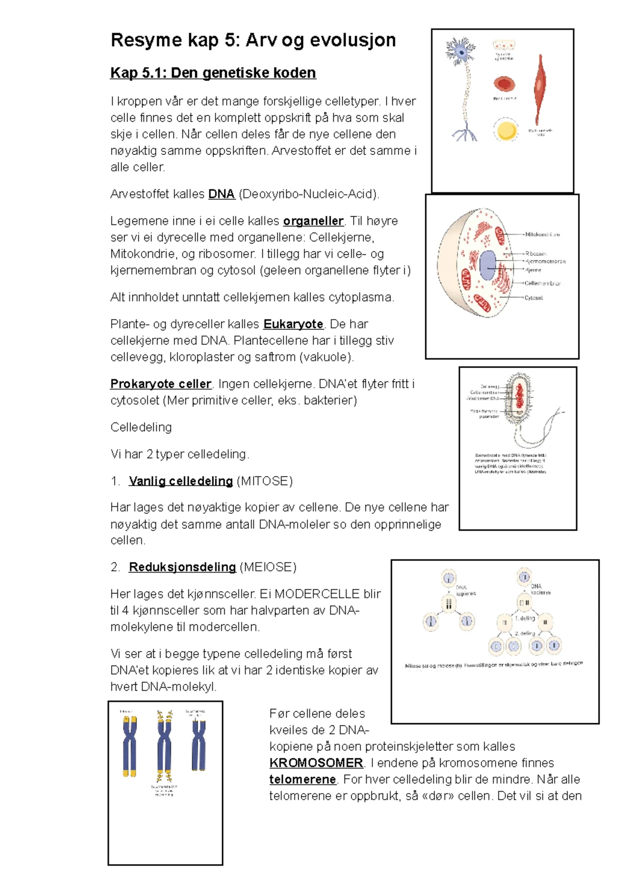 Kapittel 3 Næringsstoffene - I næringsmidlene finnes stoffer som kroppen tar opp og har nytte av ...