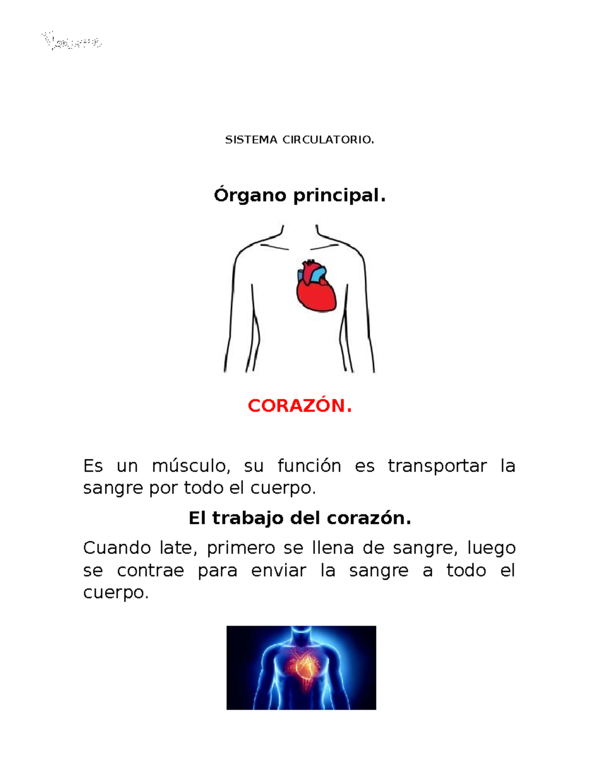 GUIA Sistema Circulatorio - Ciencias naturales - SISTEMA CIRCULATORIO ...
