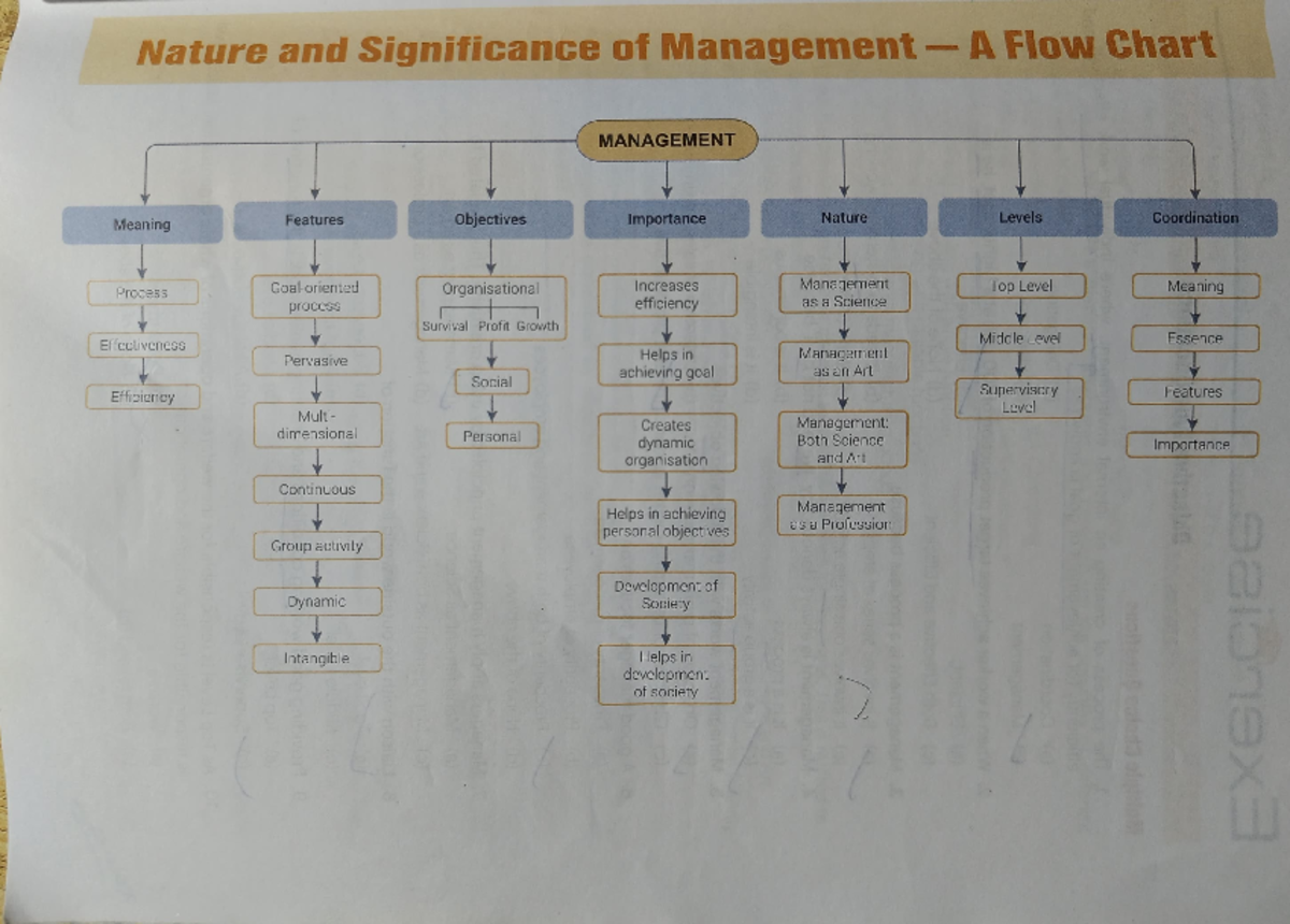 BST FLOW Chart - Dss - Nature and Significance of Management- A Flow Chart MANAGEMENT Meaning ...