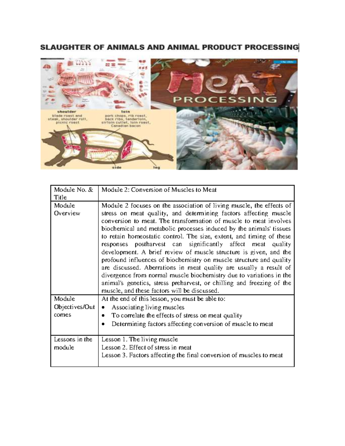 Module 2 Conversion of Muscles to Meat - Module No. & Title Module 2 ...