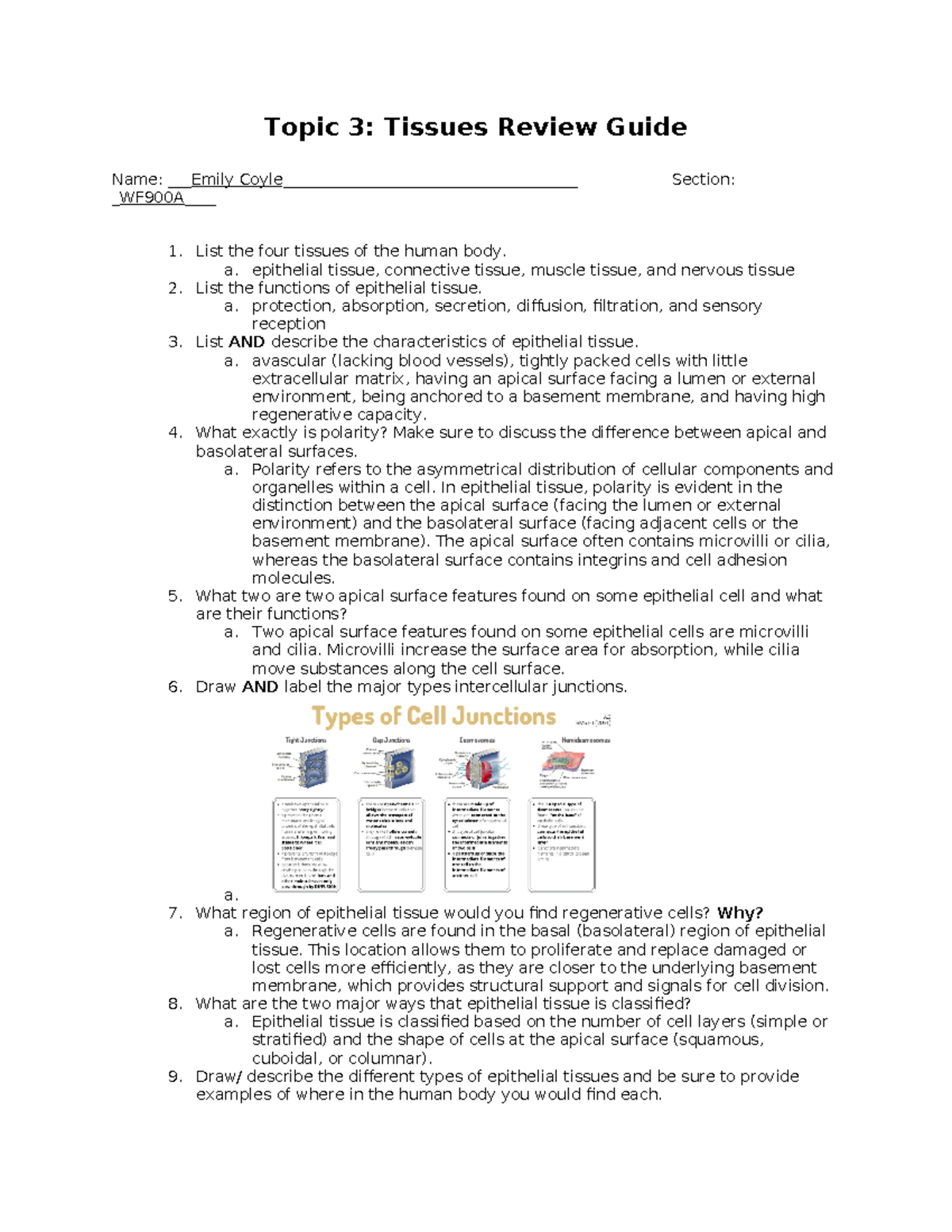 Human Tissues Review Guide (BIO 101): Key Concepts & Functions - Studocu