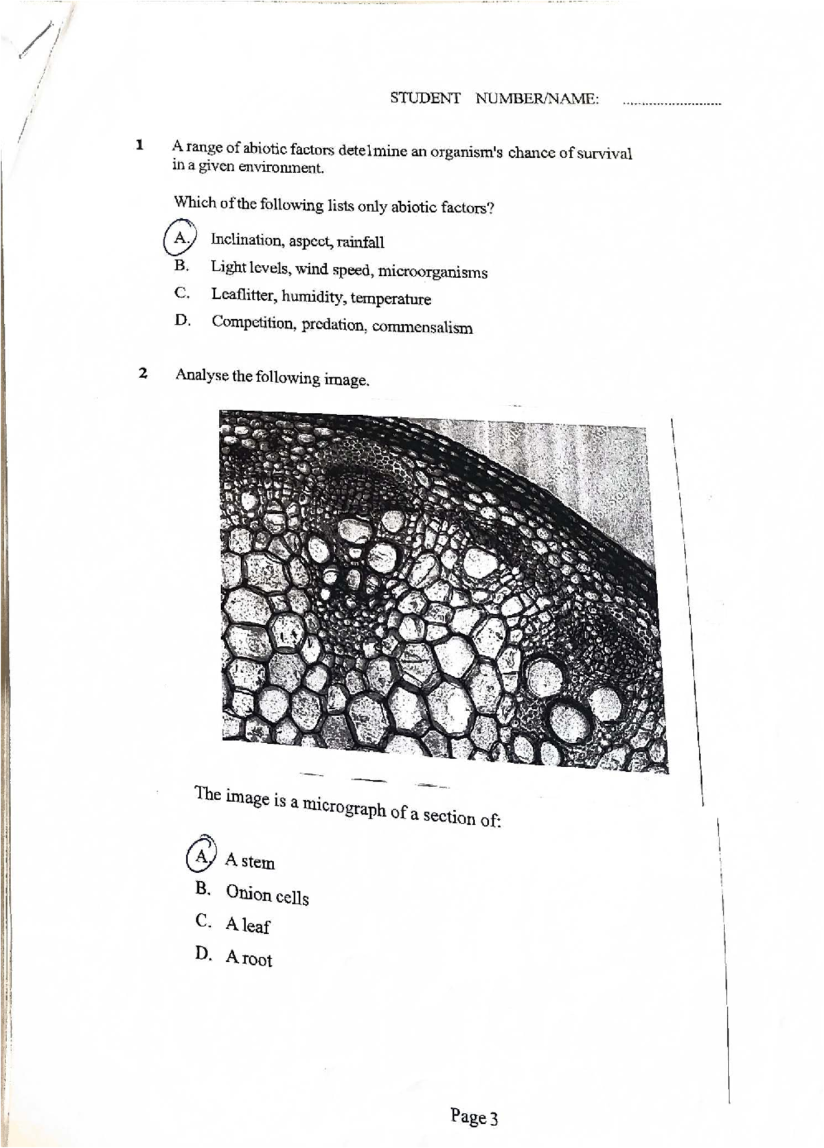 Y11 Bio Prelims: Abiotic Factors & Evolution Evidence - Studocu