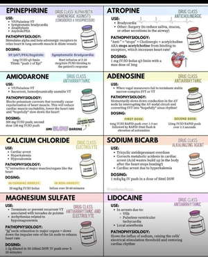 RxFiles Drug Comparison Charts - Detailed Overview (CFP Dec 2004) - Studocu