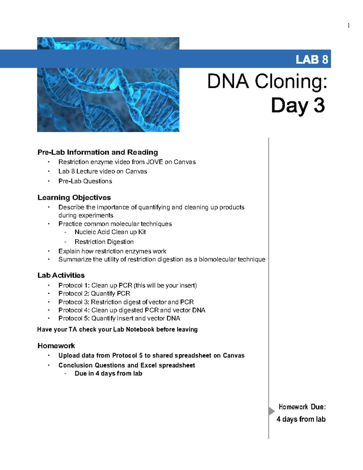 Lab 8: DNA Cloning Pre-Lab Information and Protocols - Studocu
