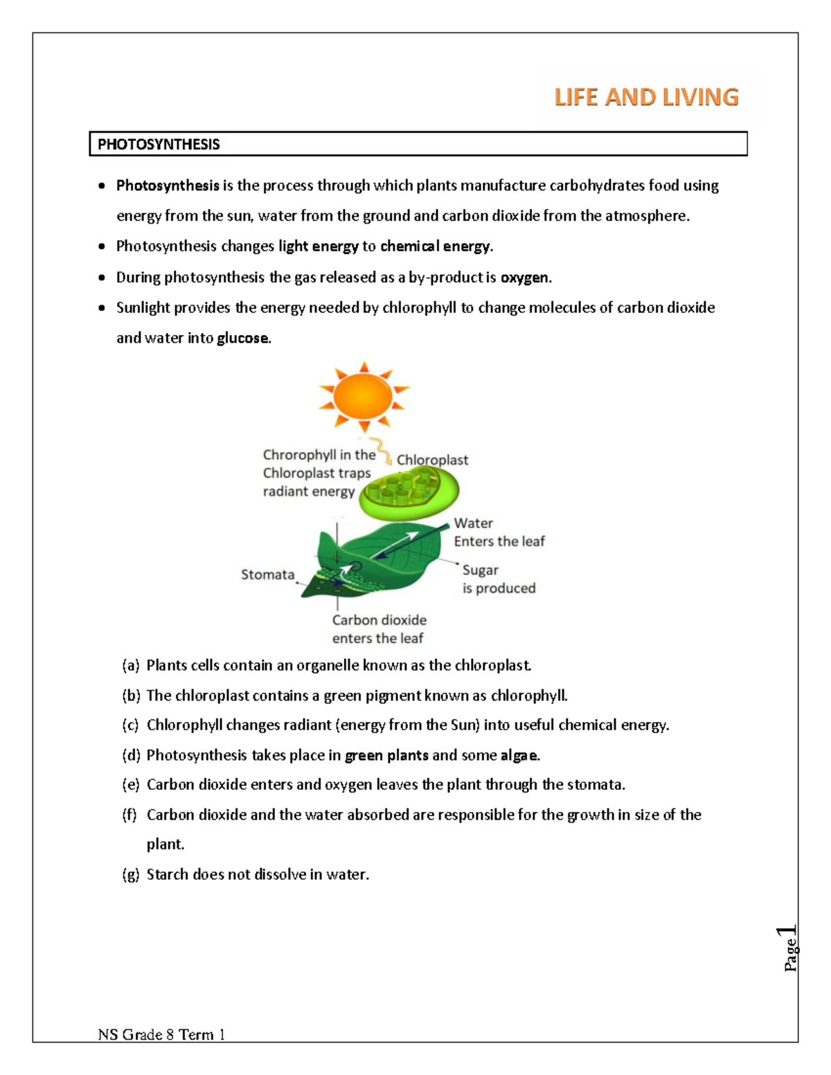 NS Grade 8 Term 1 2023 - Life Sciences Worksheets Overview - Studocu