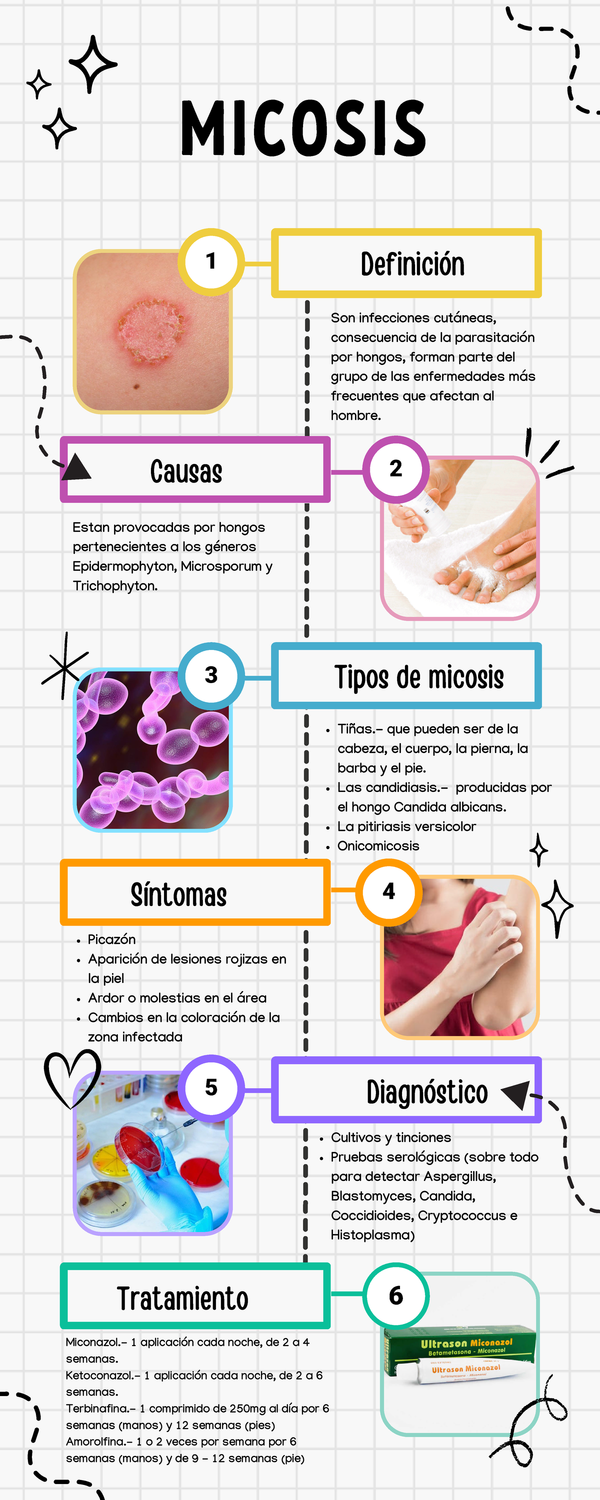 Infografía sobre Micosis: Diagnóstico, Tipos y Tratamiento - Studocu