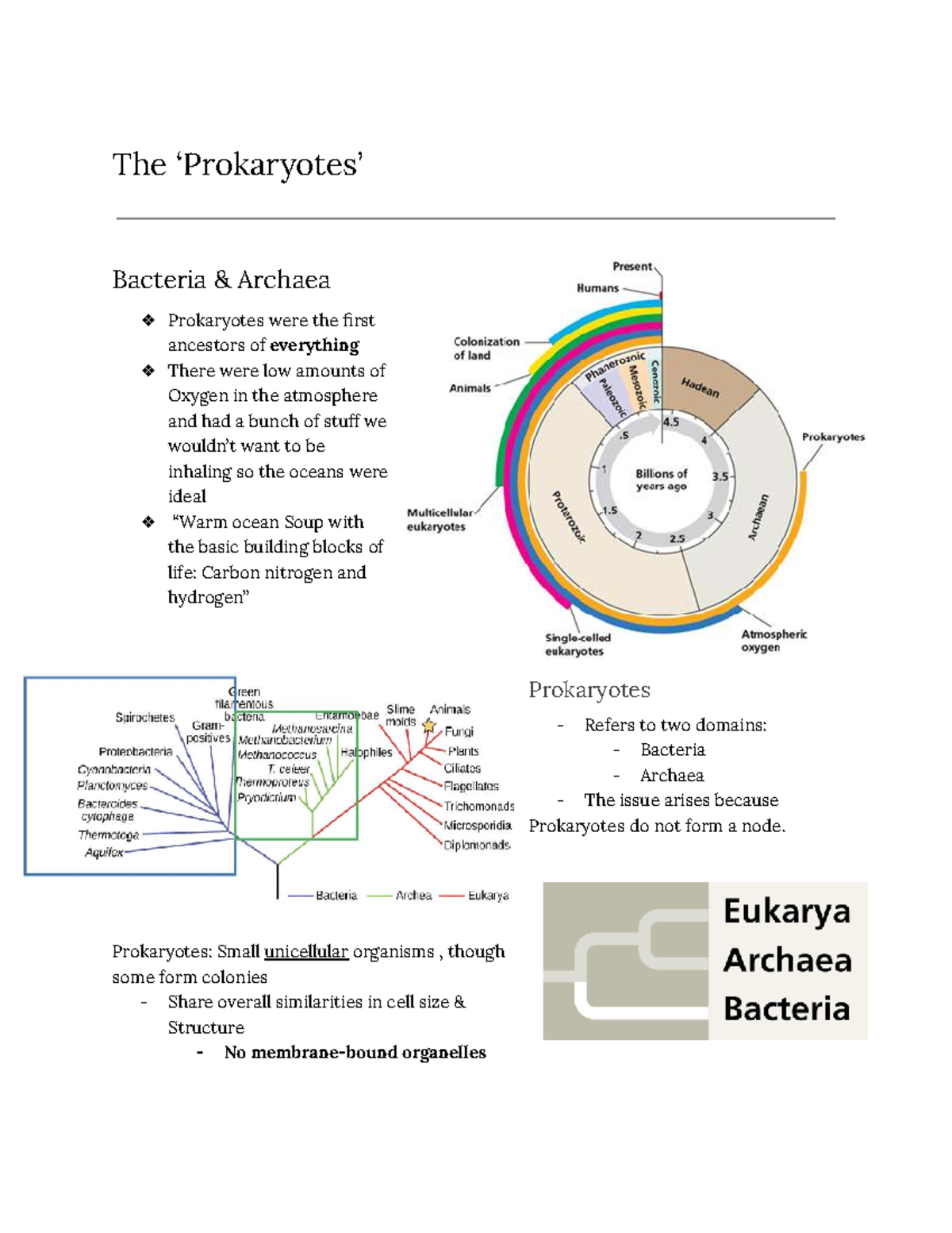 BIO 150A - Notes on Prokaryotes: Bacteria and Archaea Overview - Studocu