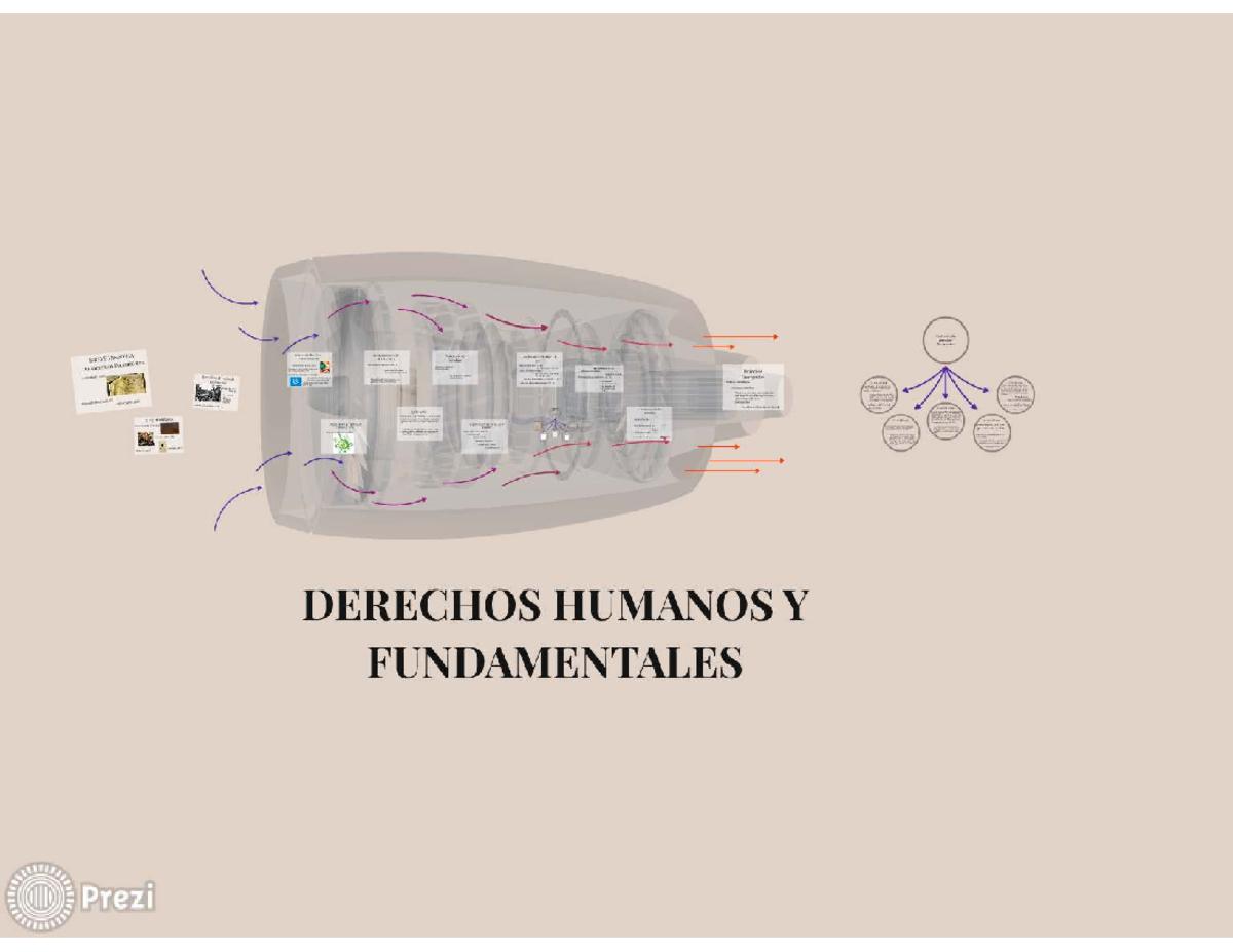 Derechos Humanos y Fundamentales: Breve Historia y Clasificación - Studocu