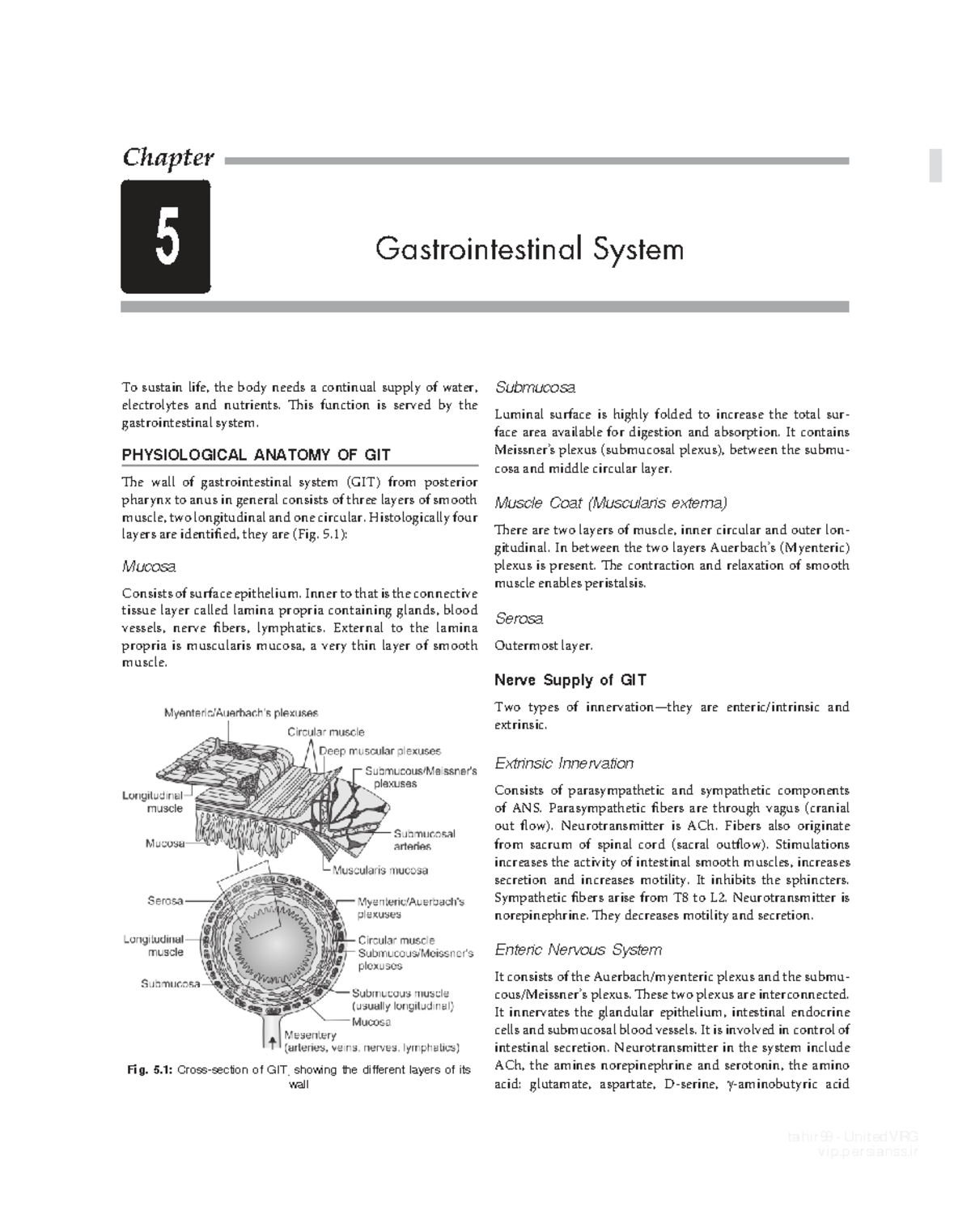 Chapter 5: Gastrointestinal System - Physiology Notes - Studocu