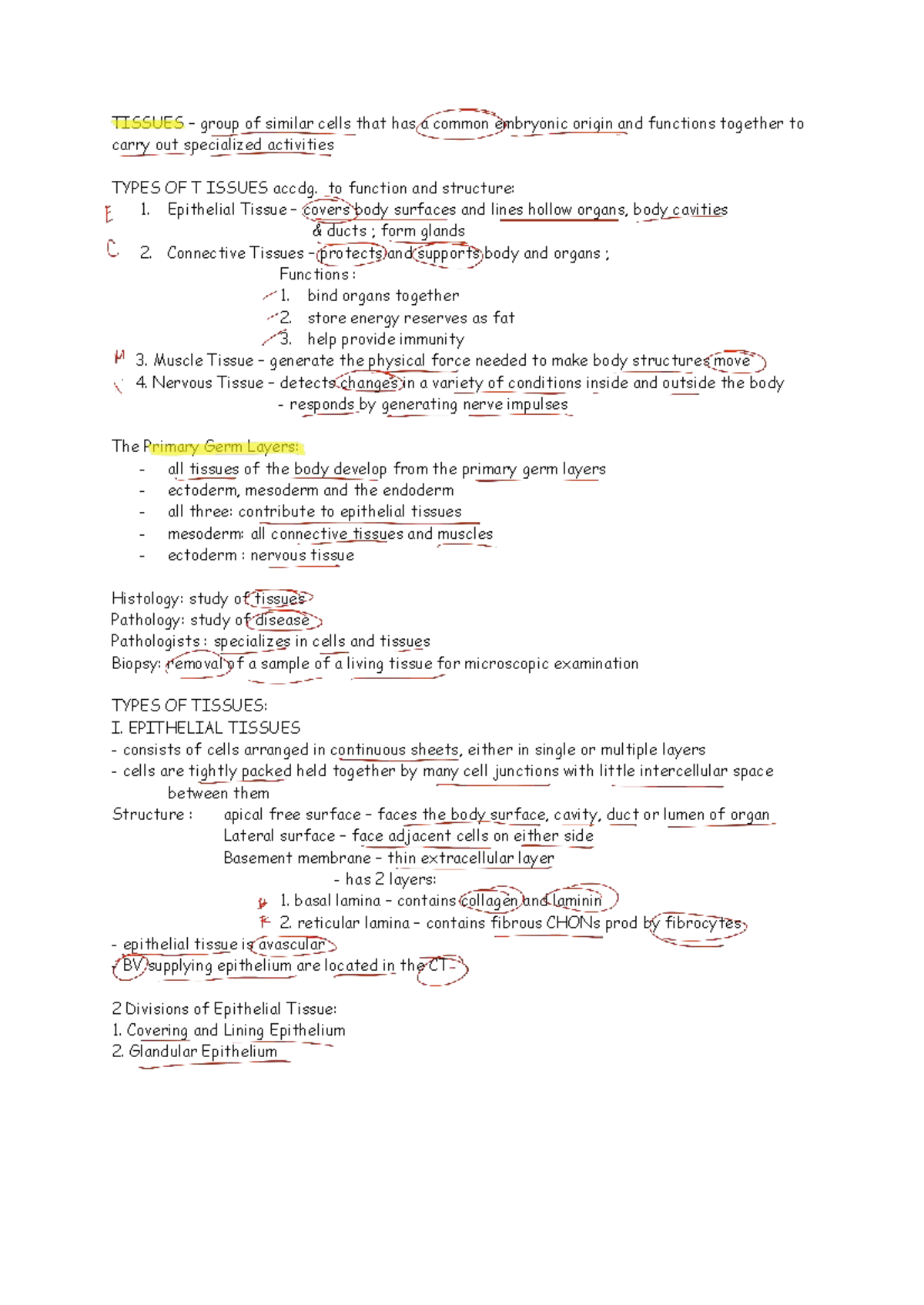 Lec 1: Overview of Tissues and Their Functions - Studocu