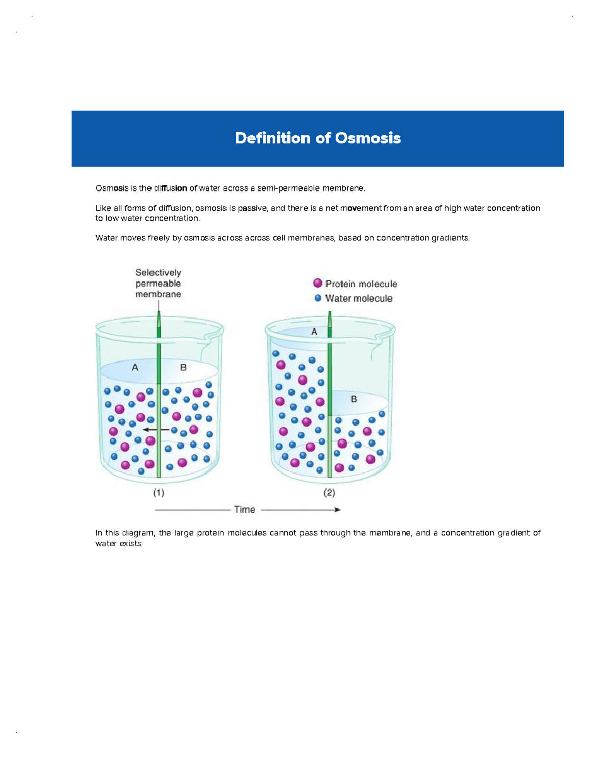 Osmosis Prelab: Understanding Water Movement and Tonicity Concepts ...