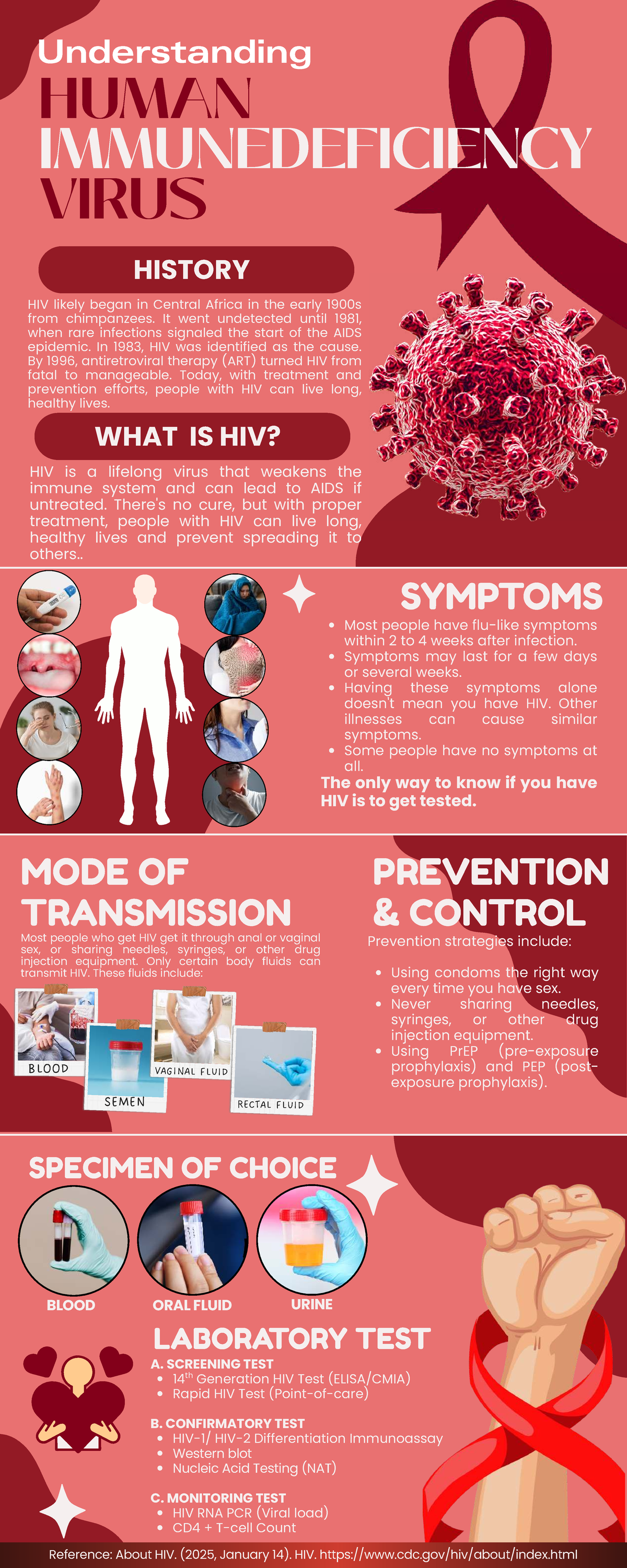Understanding HIV: History, Symptoms, and Prevention Strategies - Studocu