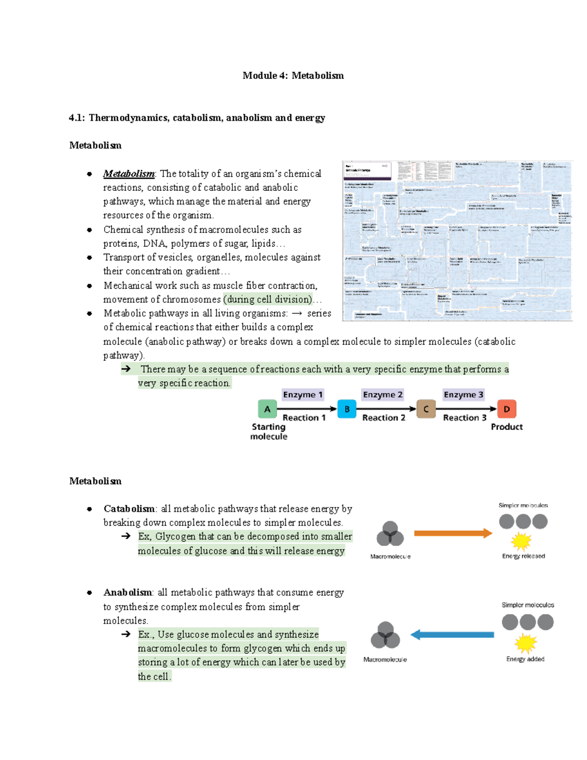 Module 4: Metabolism and Energy Transformations in Living Organisms ...