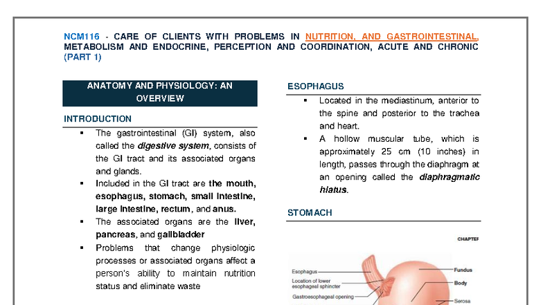 NCM116 - Nutrition & Metabolism: Anatomy & Physiology Overview Part 1 ...