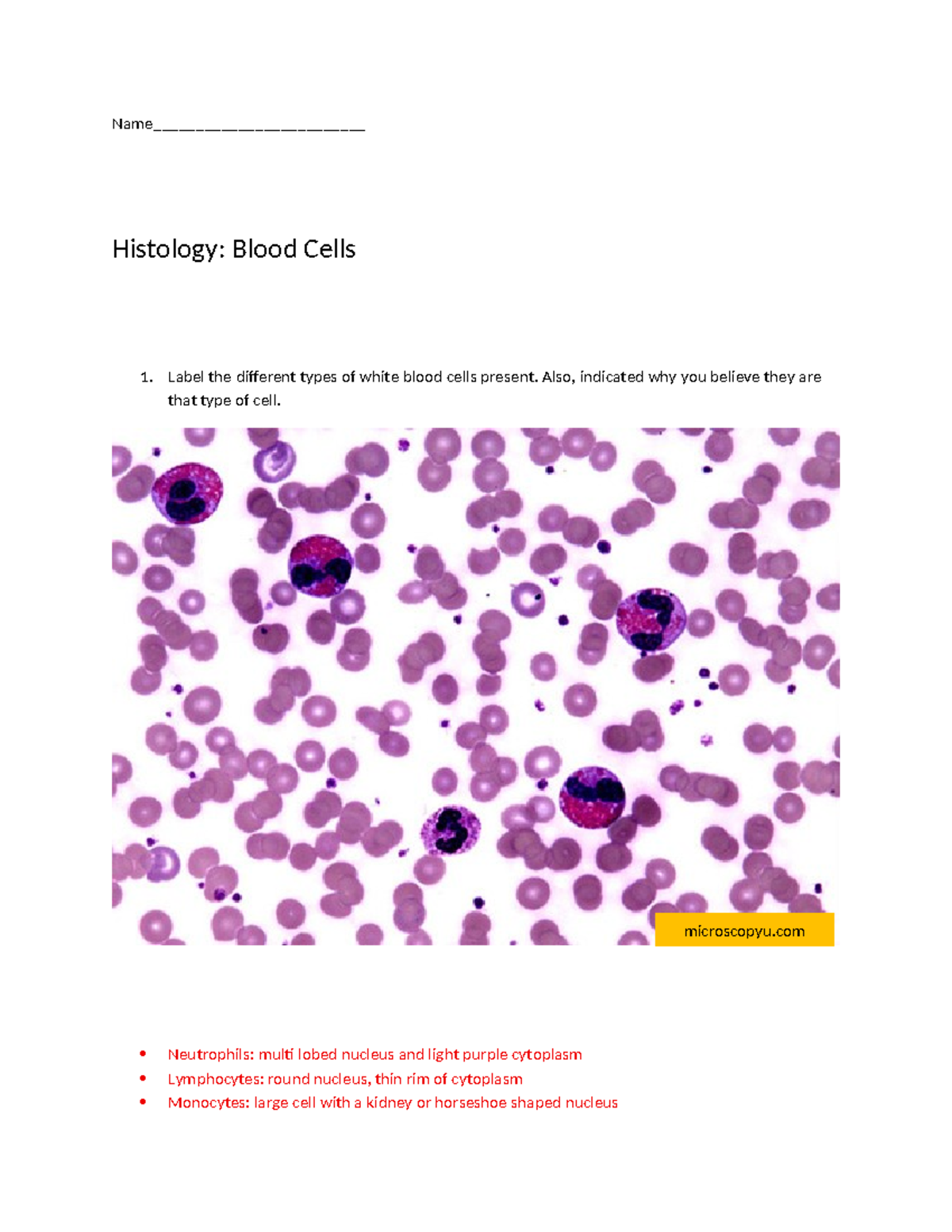 Week 1 Histology: Identifying Blood Cell Types and Functions - Studocu