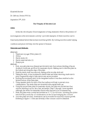 Unknown Bacteria Lab Report - W BIO-215L Identification of Unknown ...