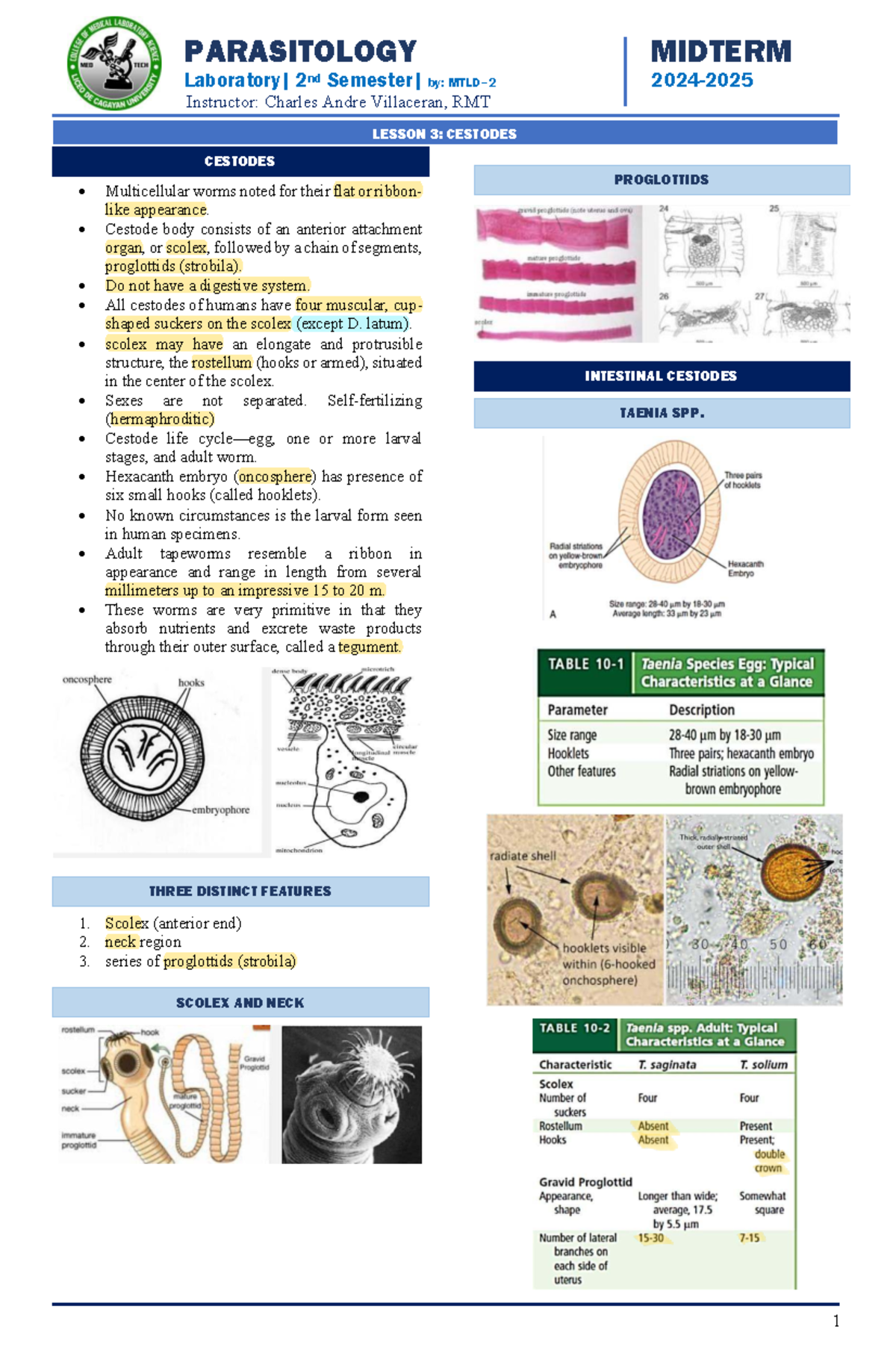 Cestodes LAB - paralab - PARASITOLOGY MIDTERM Laboratory| 2 nd Semester| by: MTLD– 2 2024 - 2025 ...