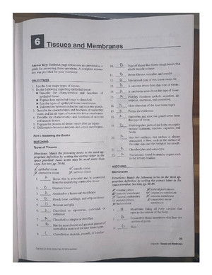 CH 8 BIO - ch 8 - NURSINGTB Chapter 08: Skeletal System Herlihy: The ...