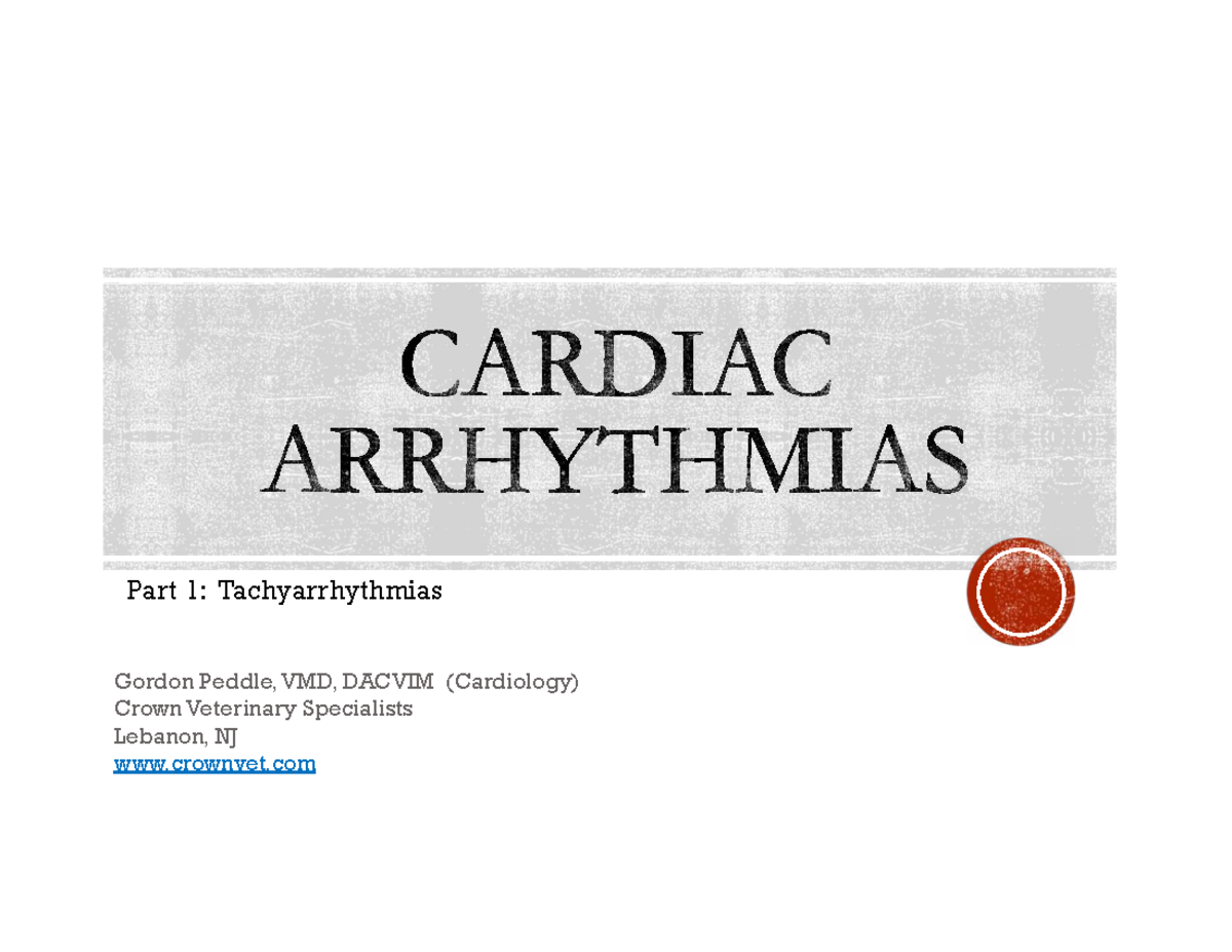 Veterinary Cardiology: SVT in Dogs - Diagnosis and Treatment Strategies ...